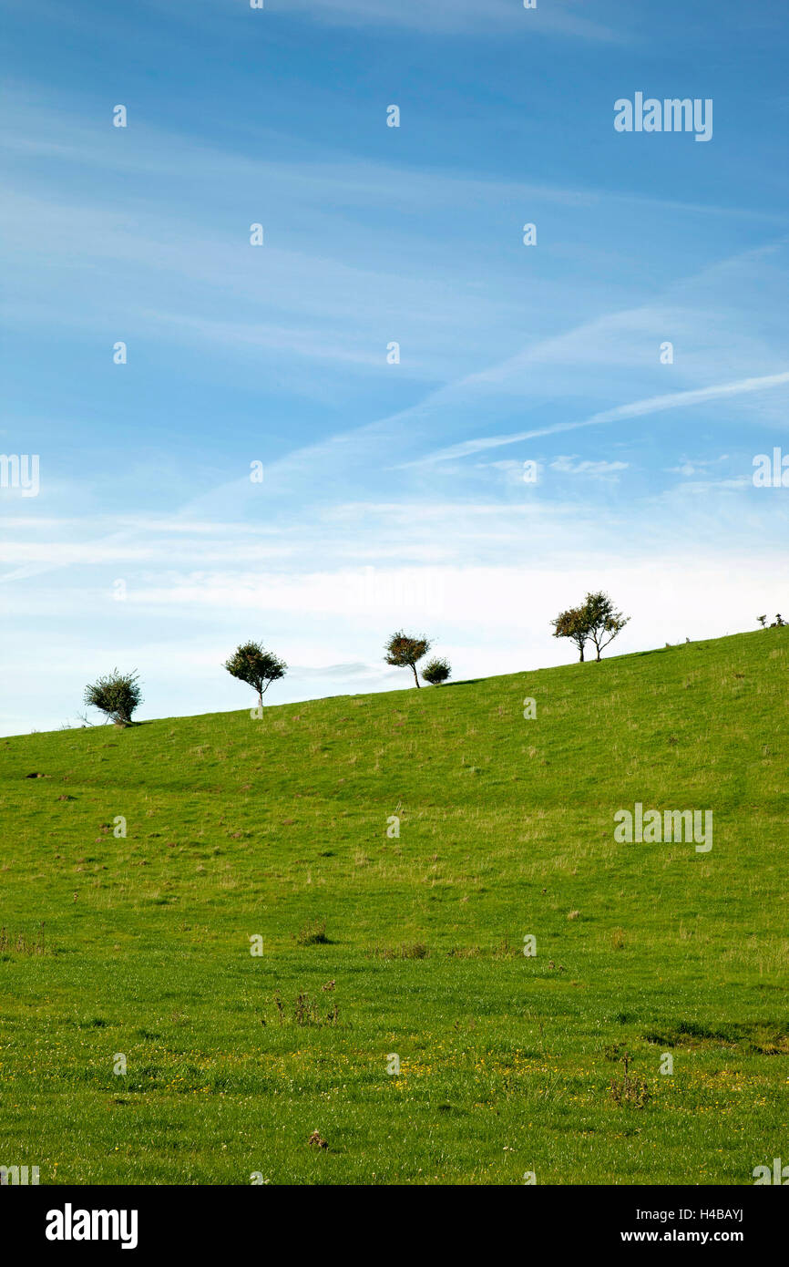 Tree, grass, landscape, hill Stock Photo - Alamy