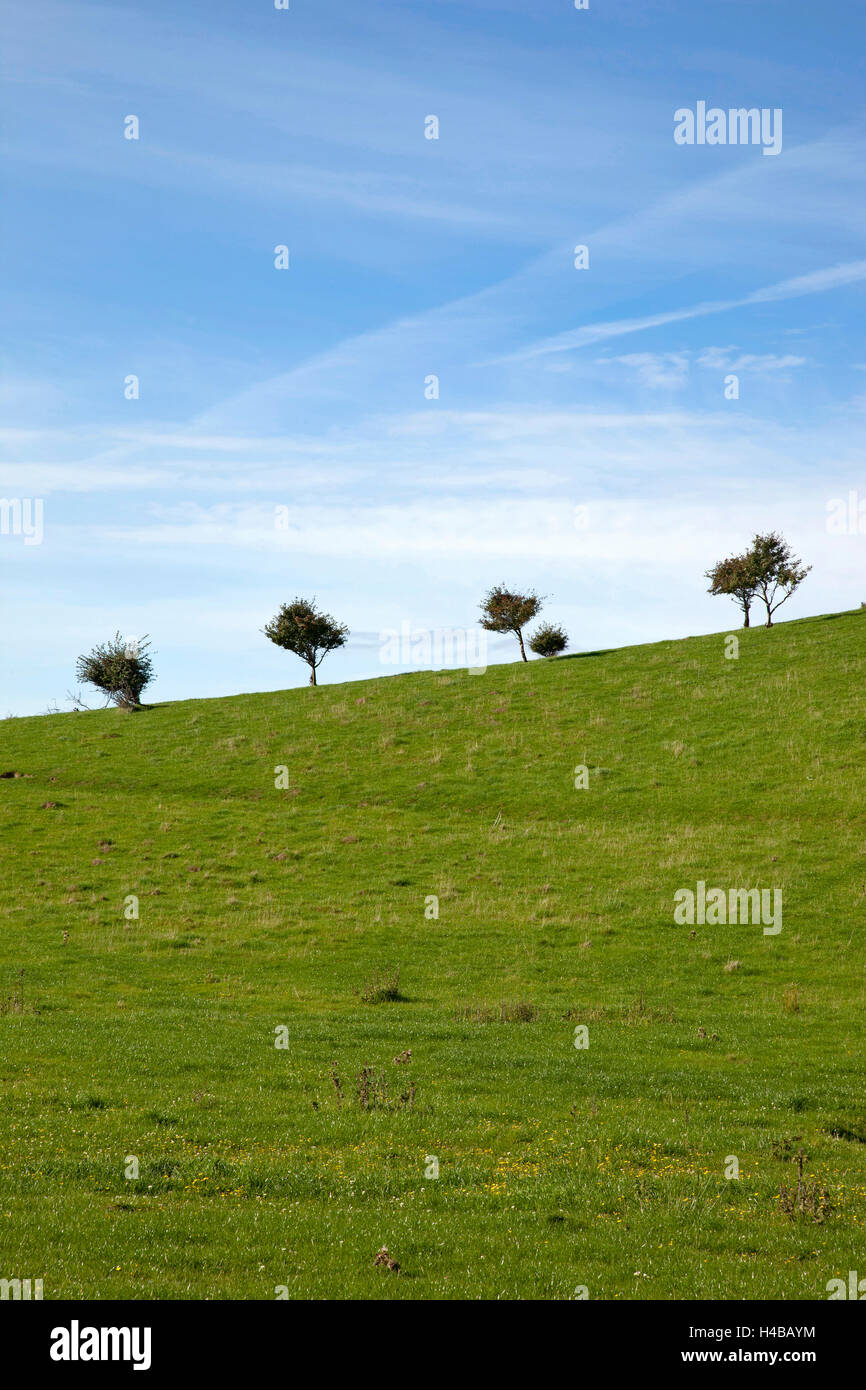 Tree, grass, landscape, hill Stock Photo - Alamy