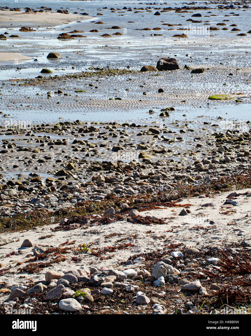 The Baltic Sea, watt, landscape, stones Stock Photo - Alamy