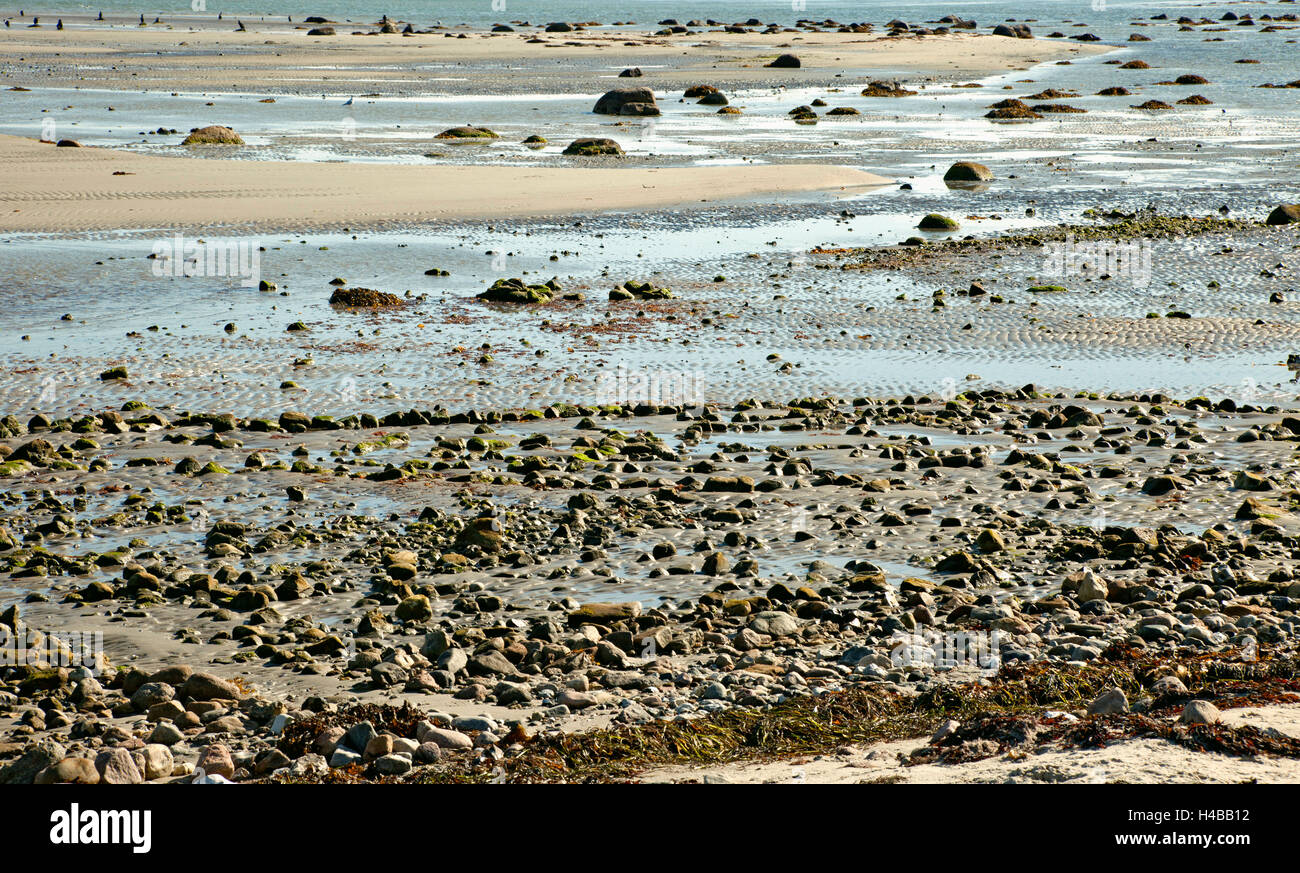 The Baltic Sea, watt, landscape, stones Stock Photo - Alamy