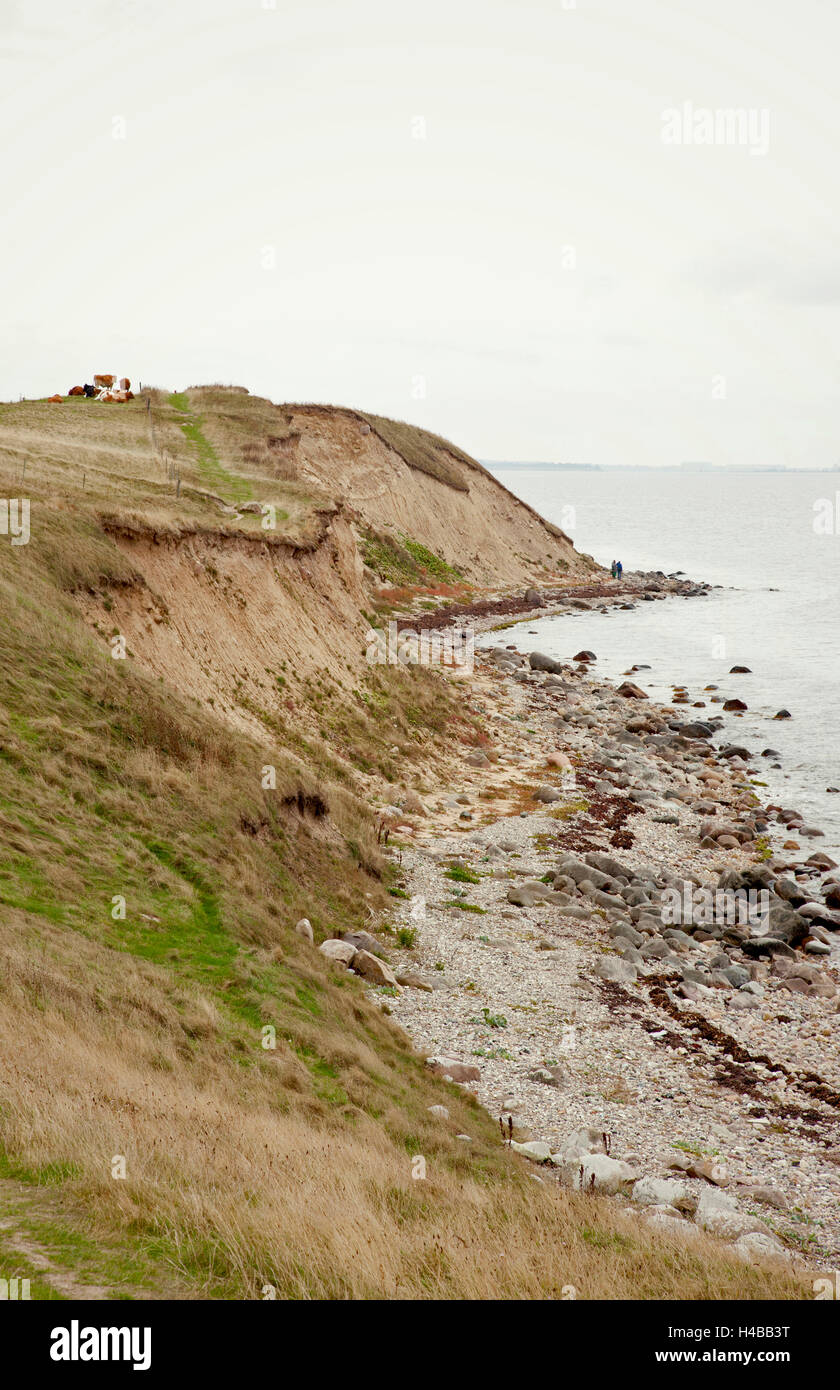 Denmark, Fyn, coast Stock Photo - Alamy