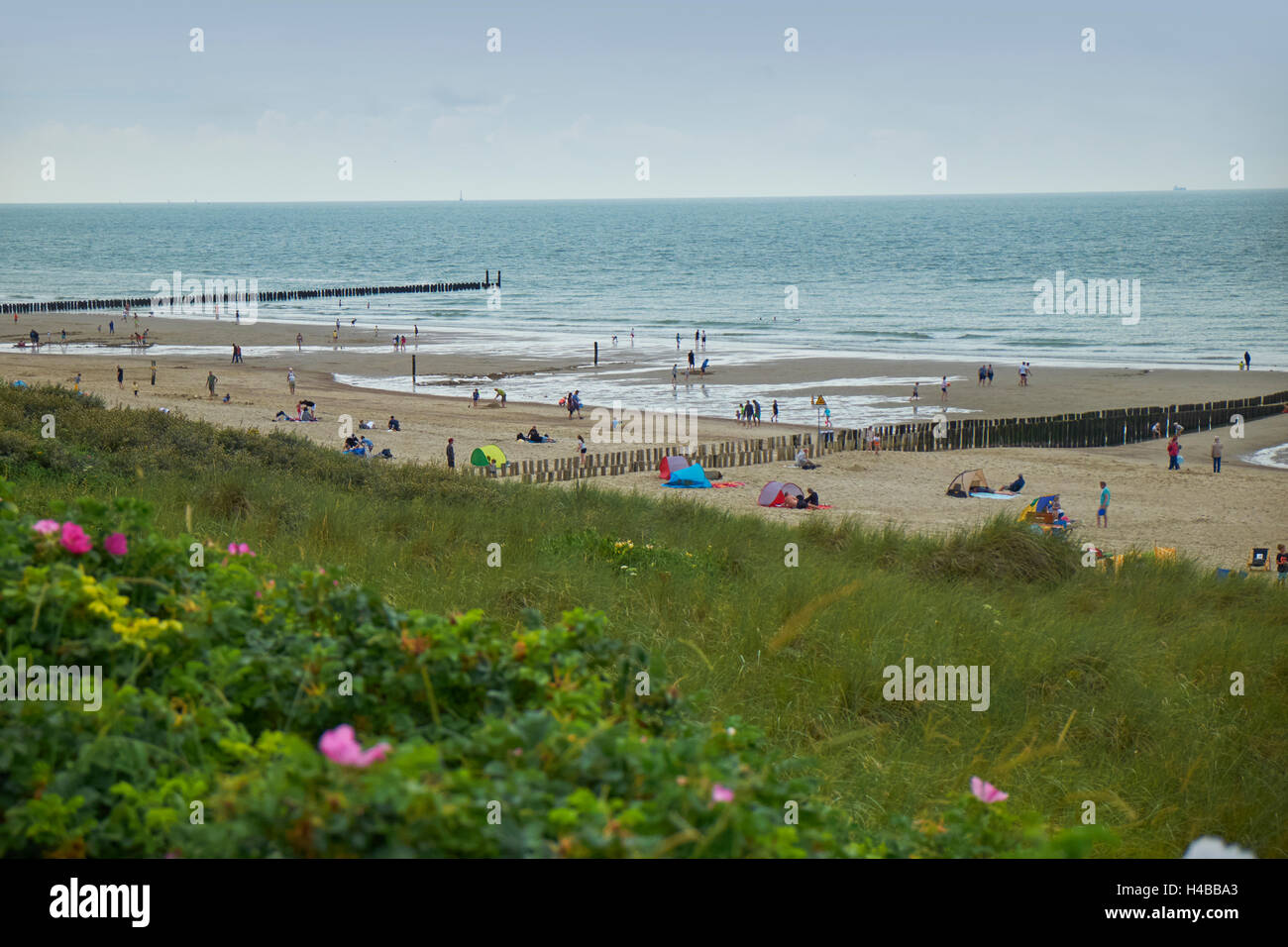 Zeeland region hi-res stock photography and images - Alamy