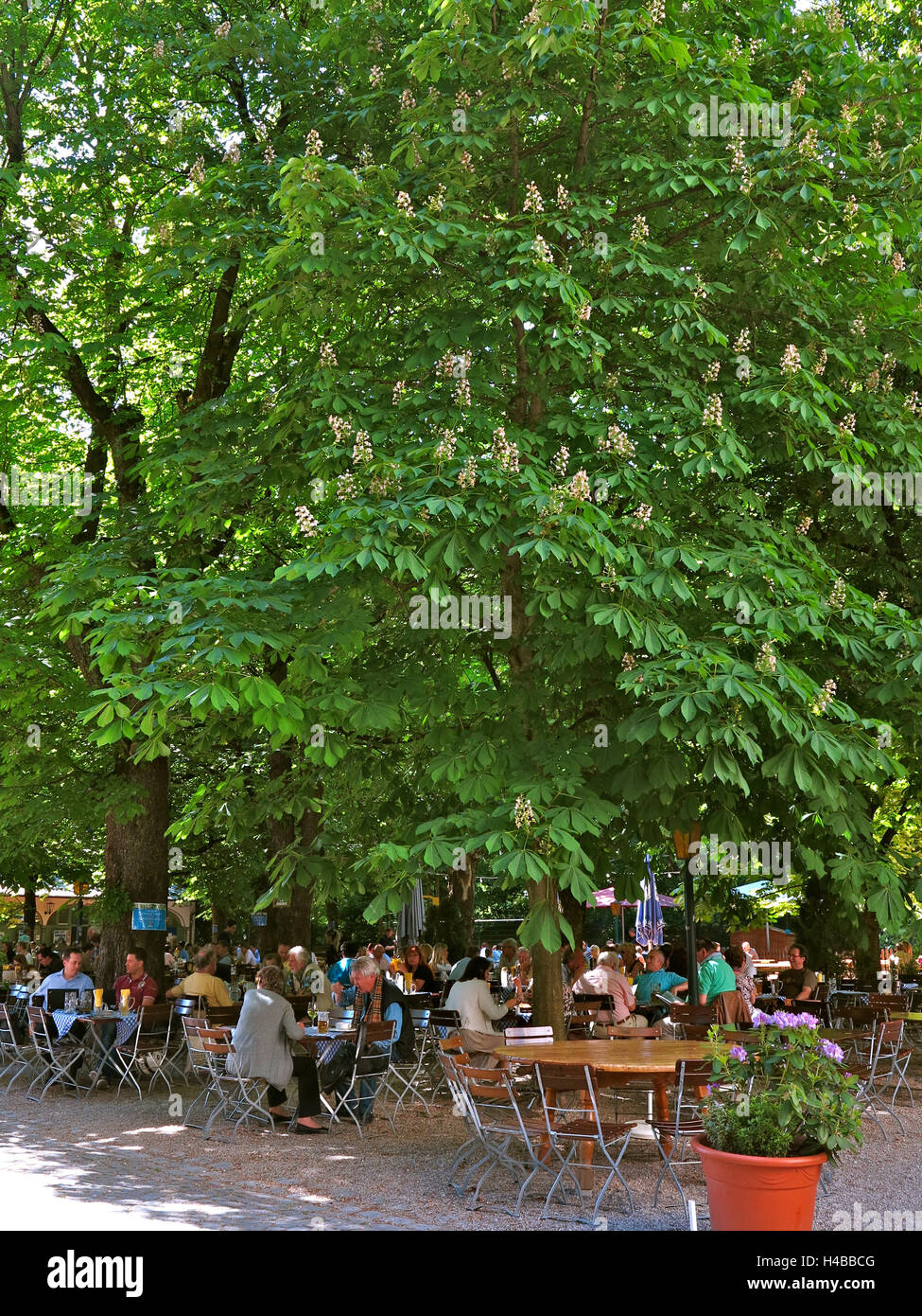 Beer garden of the hofbraukeller hi-res stock photography and images ...