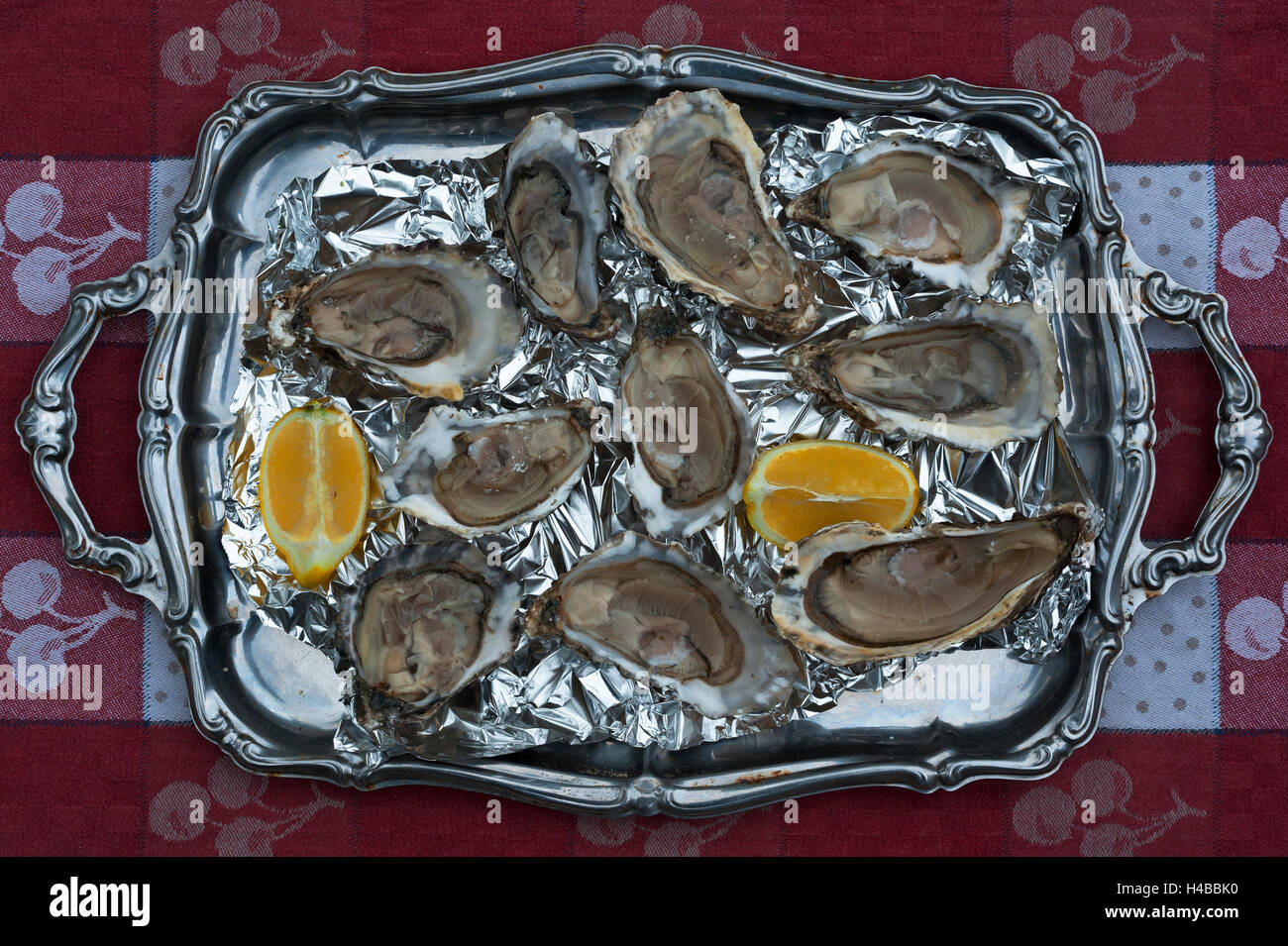Oysters ostreidae hi-res stock photography and images - Alamy