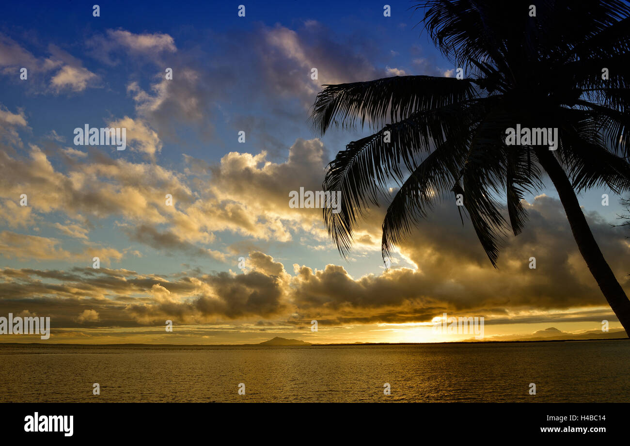 Sunset with palm tree on the beach of Ankify, eastern Madagascar ...
