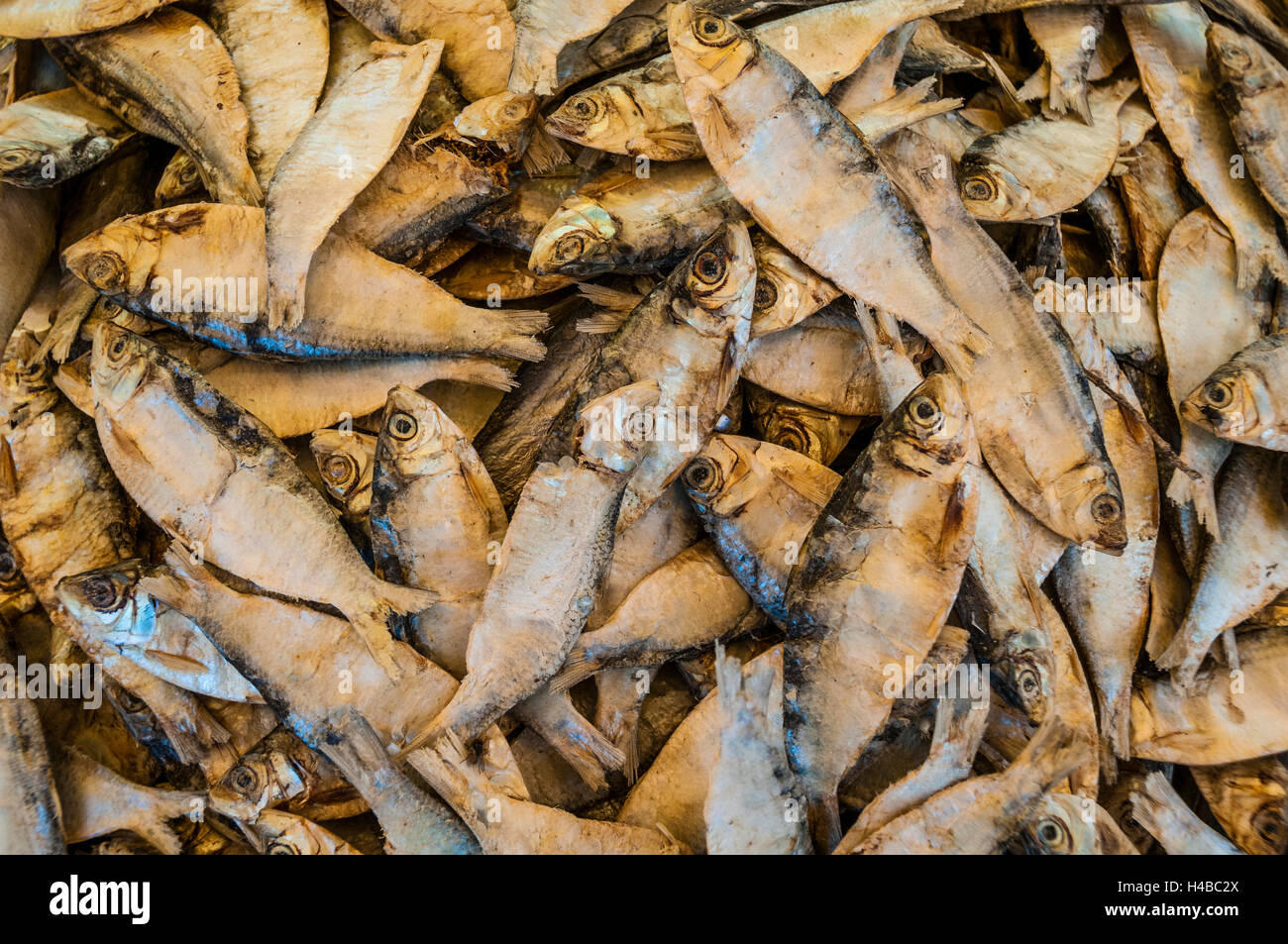 Dried fish at a market, Chinnamanur, Tamil Nadu, India Stock Photo - Alamy