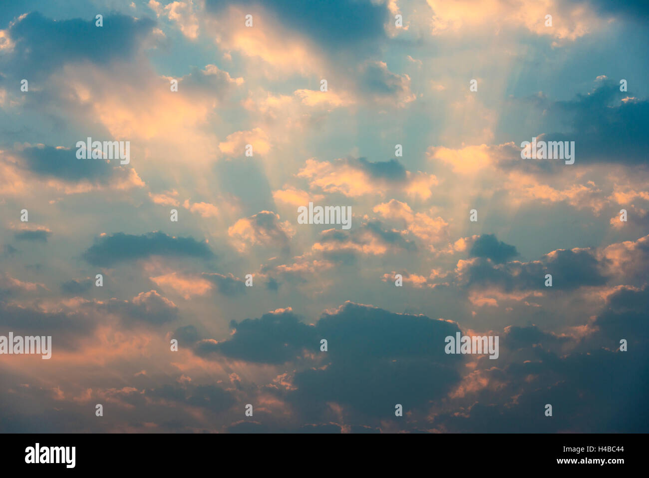 Small rays hi-res stock photography and images - Alamy