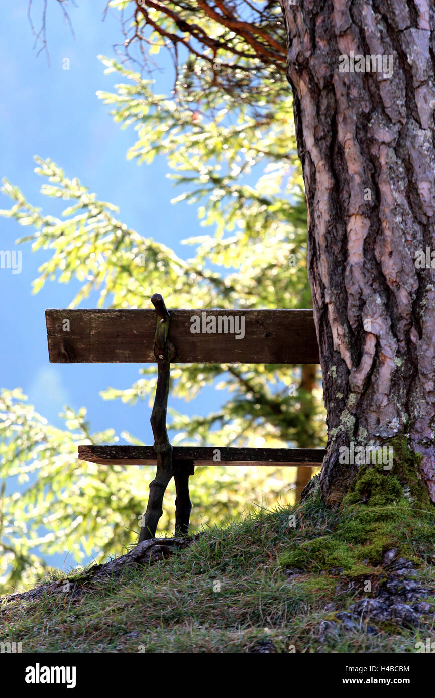 Tree bench hi-res stock photography and images - Alamy