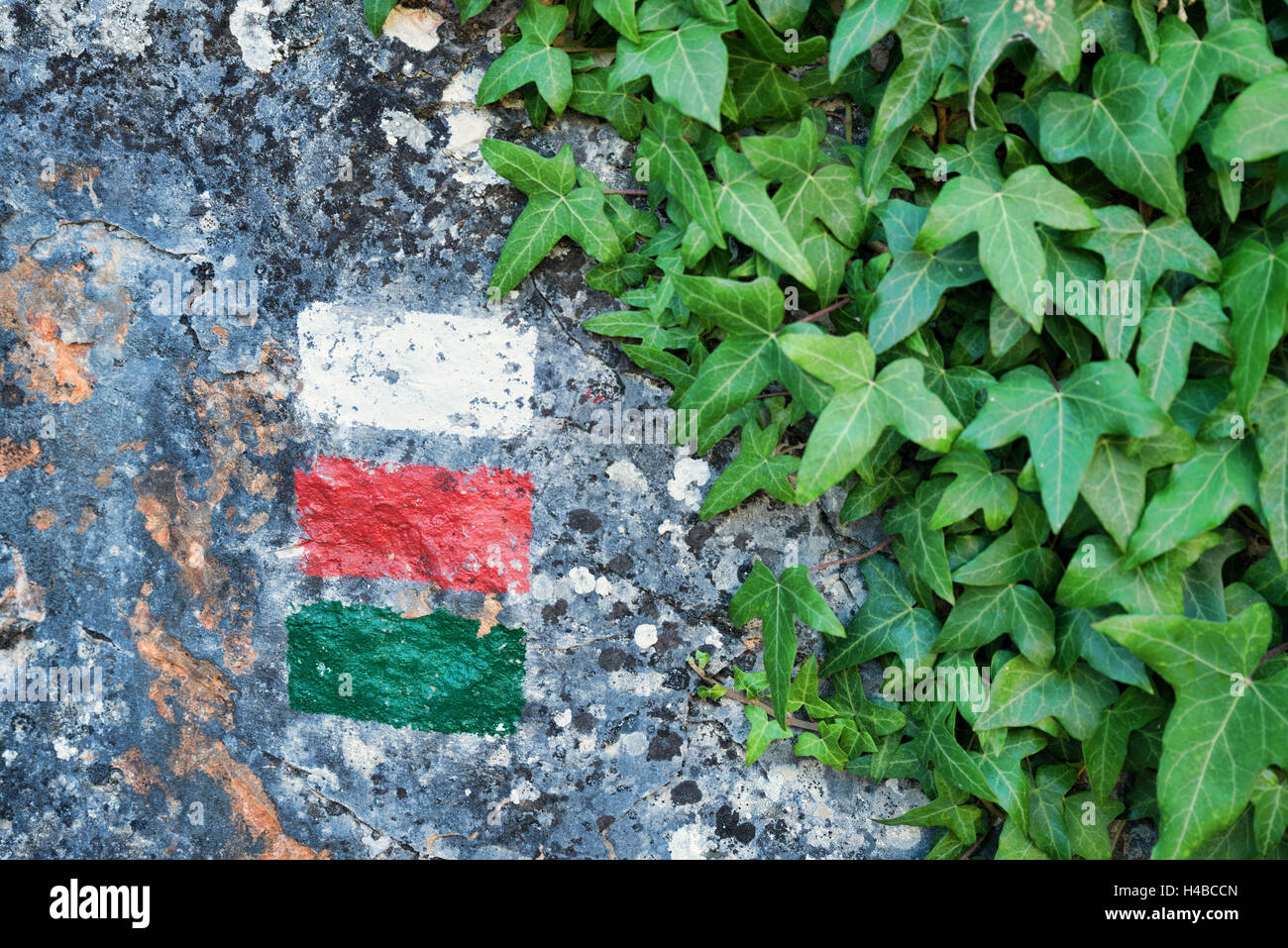 Hiking trail marker on rock hi-res stock photography and images - Alamy