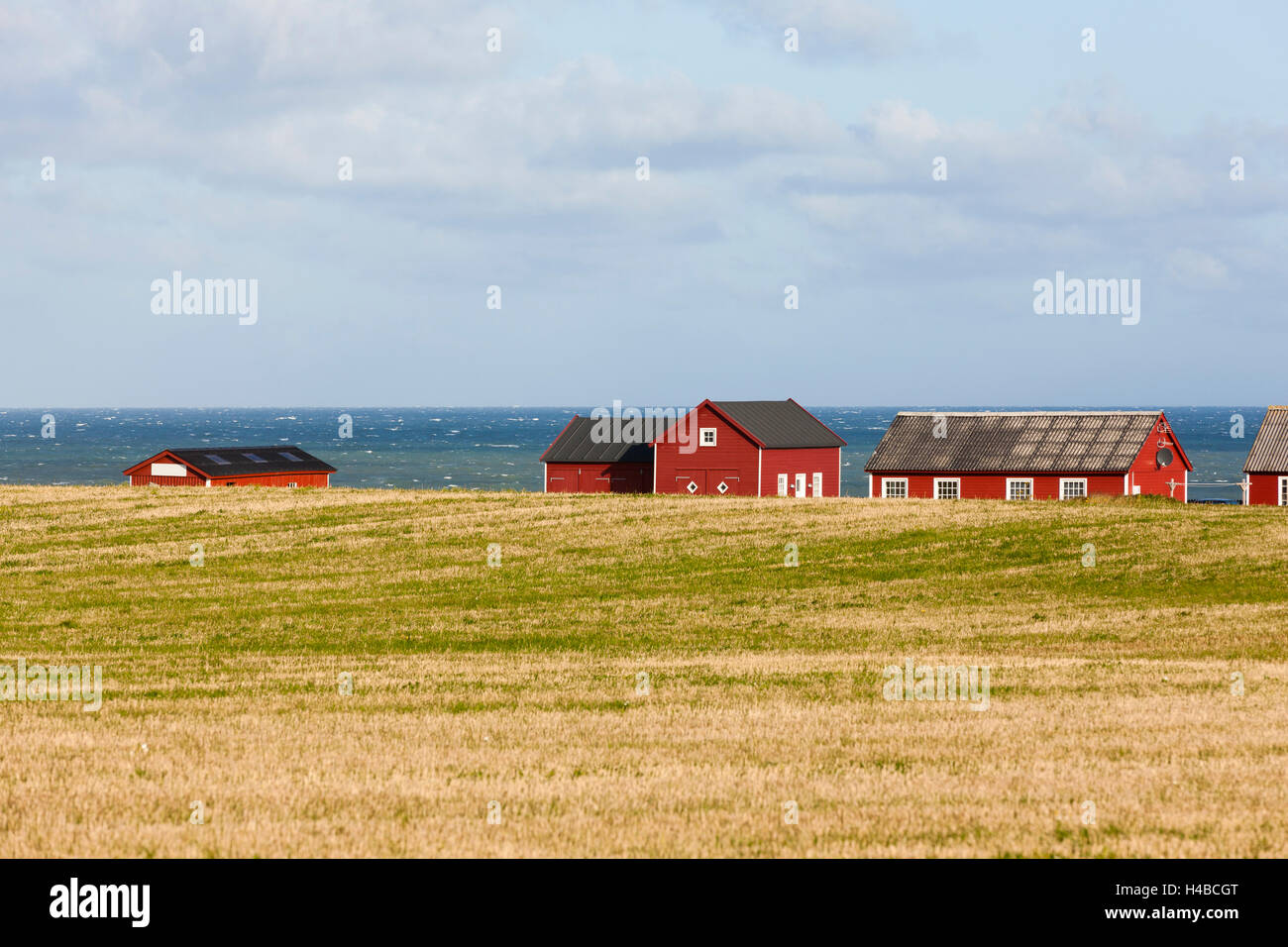 Red houses in Denmark, West Coast Stock Photo - Alamy