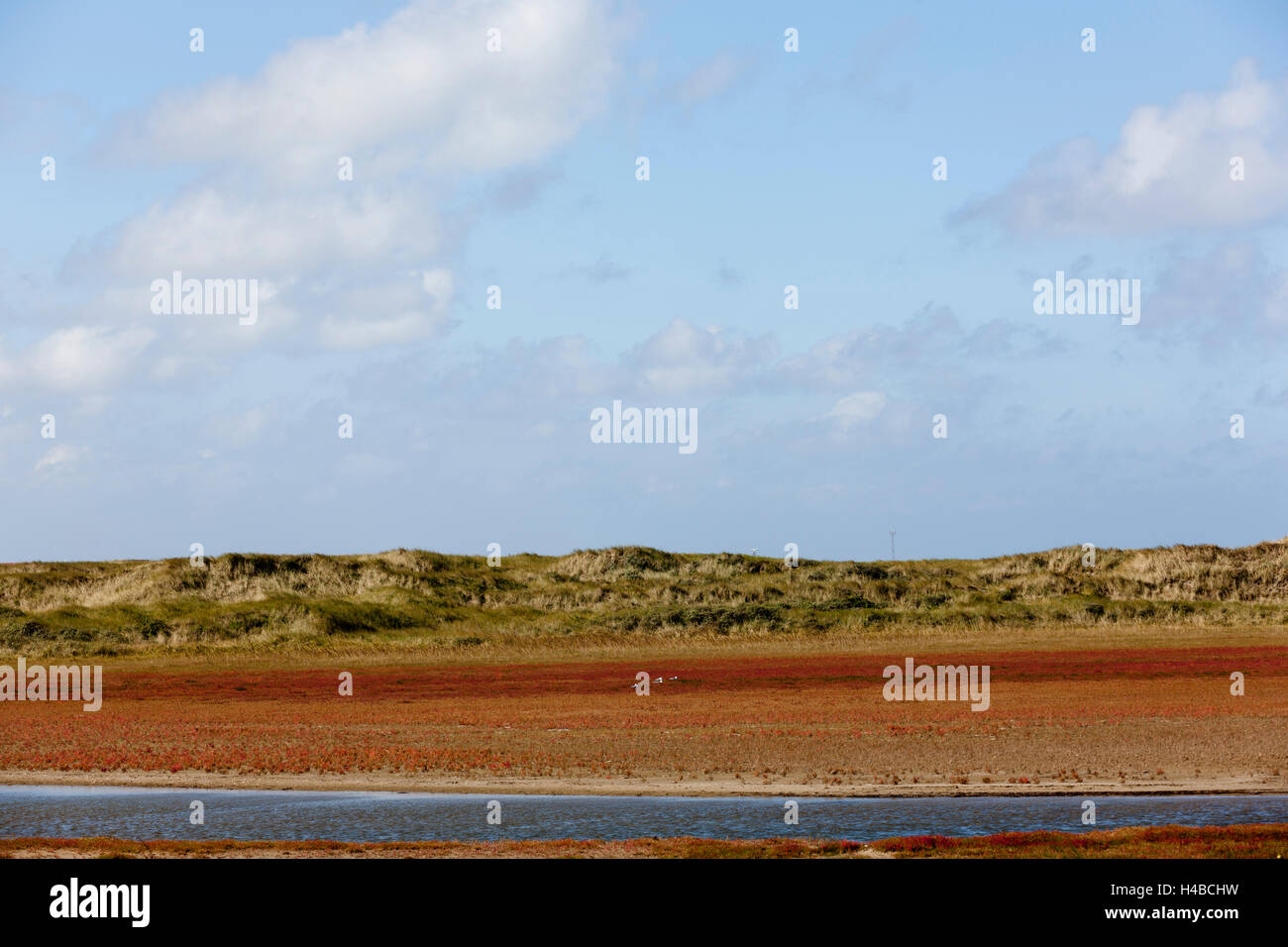 Denmark national park hi-res stock photography and images - Alamy