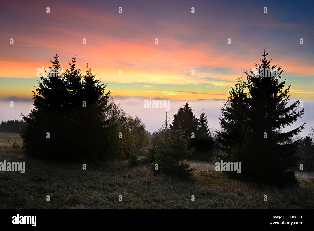 Germany, Thuringia, Thuringian Forest, Schmiedefeld, Rauhhügel, sunrise ...