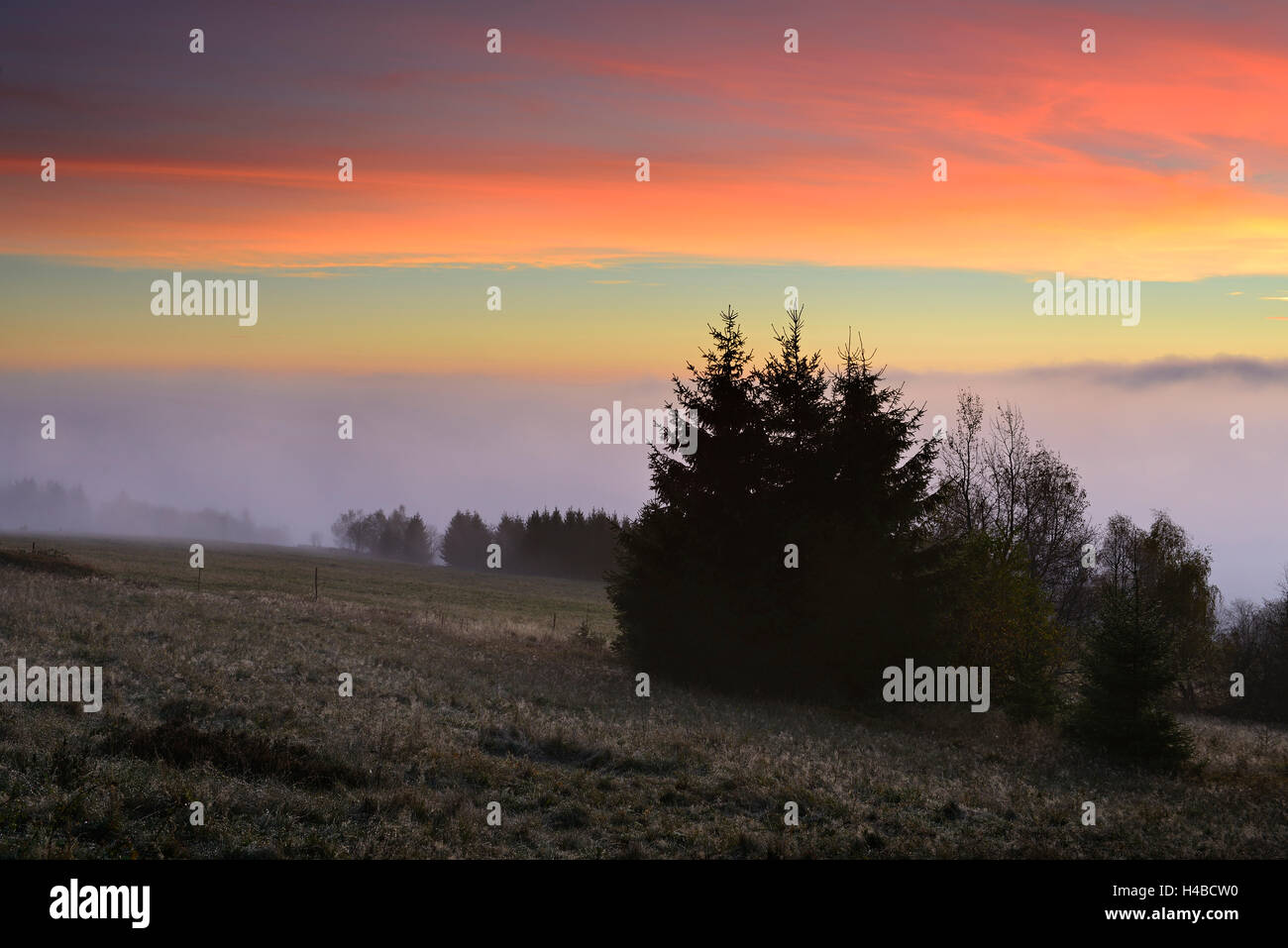 Germany, Thuringia, Thuringian Forest, Schmiedefeld, Rauhhügel, sunrise ...