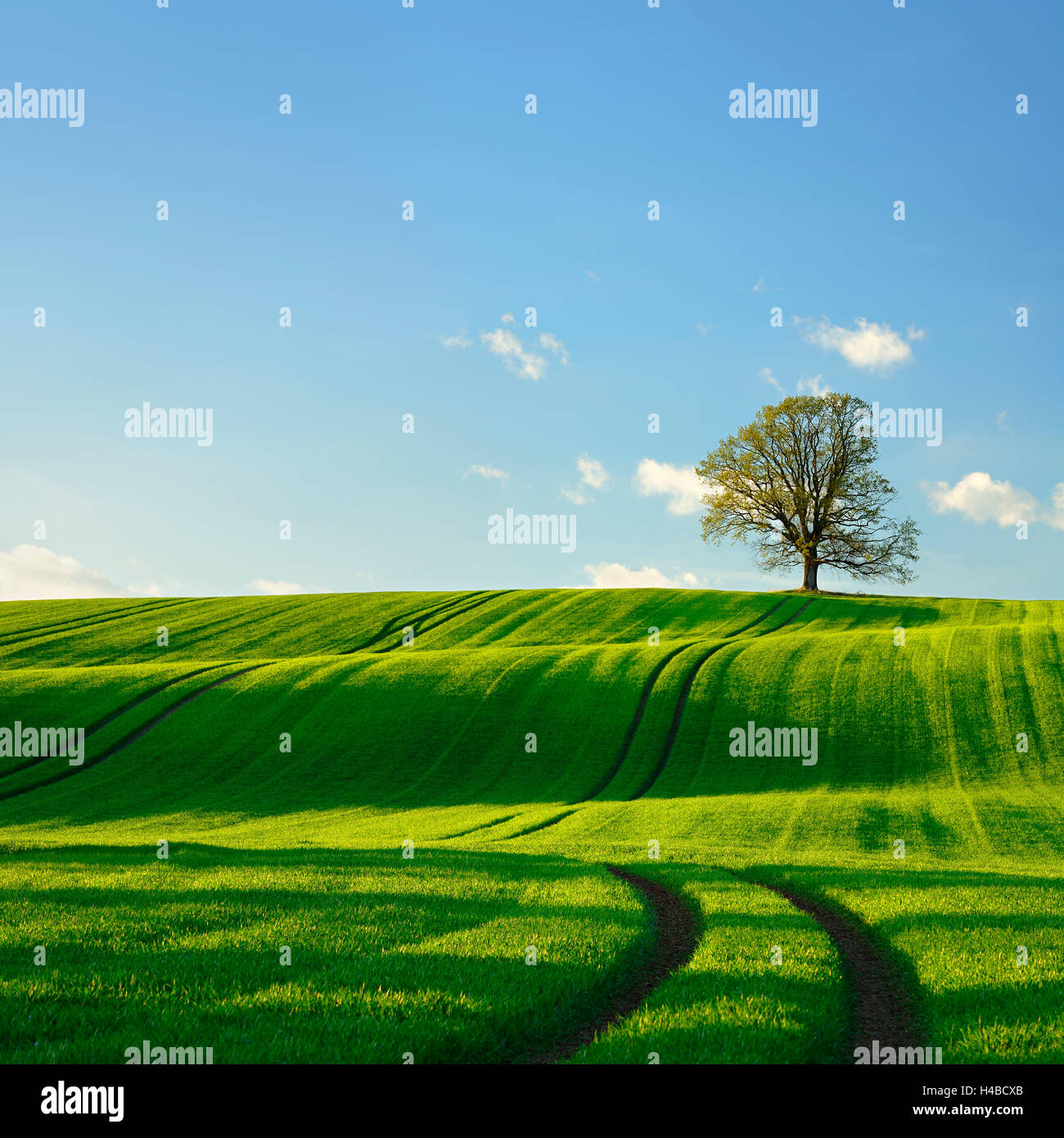 Scrolling grass hi-res stock photography and images - Alamy