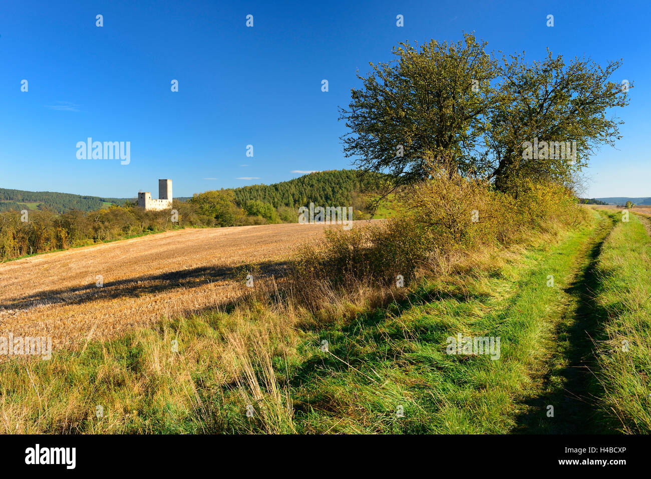 Germany, Thuringia, Ilm-Kreis, landscape with castle ruin Ehrenstein ...