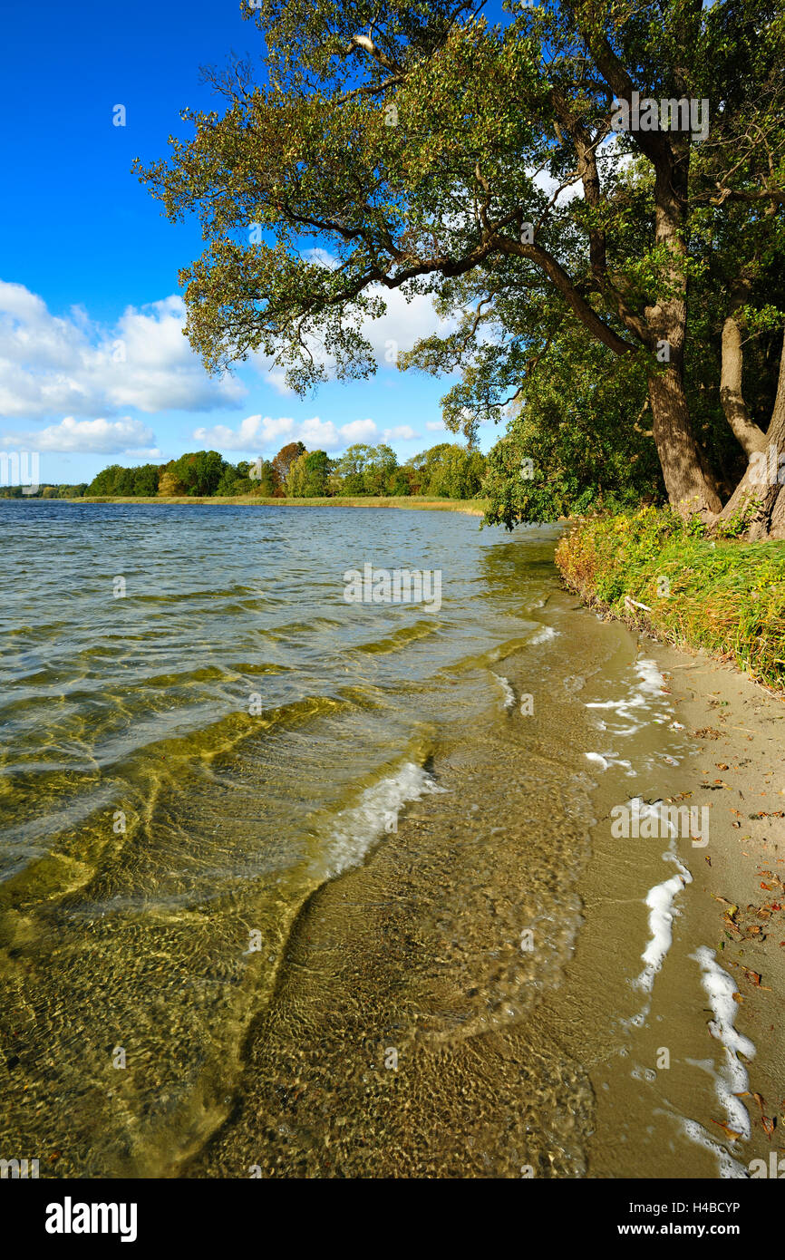 Neukloster warin hi-res stock photography and images - Alamy