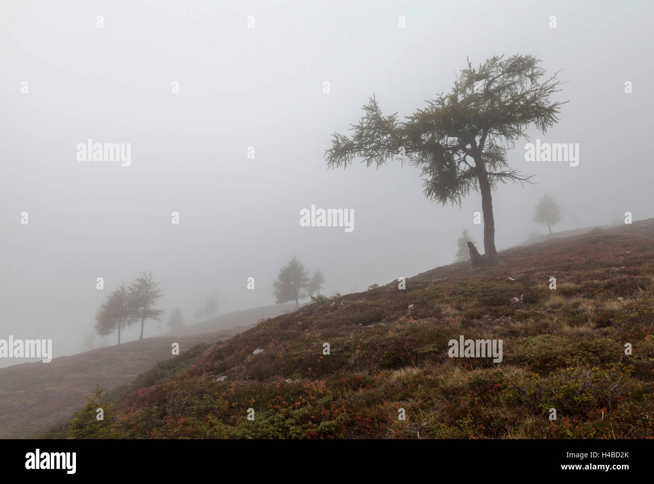 View of the Goldeck, mountaintop in Austria Stock Photo - Alamy