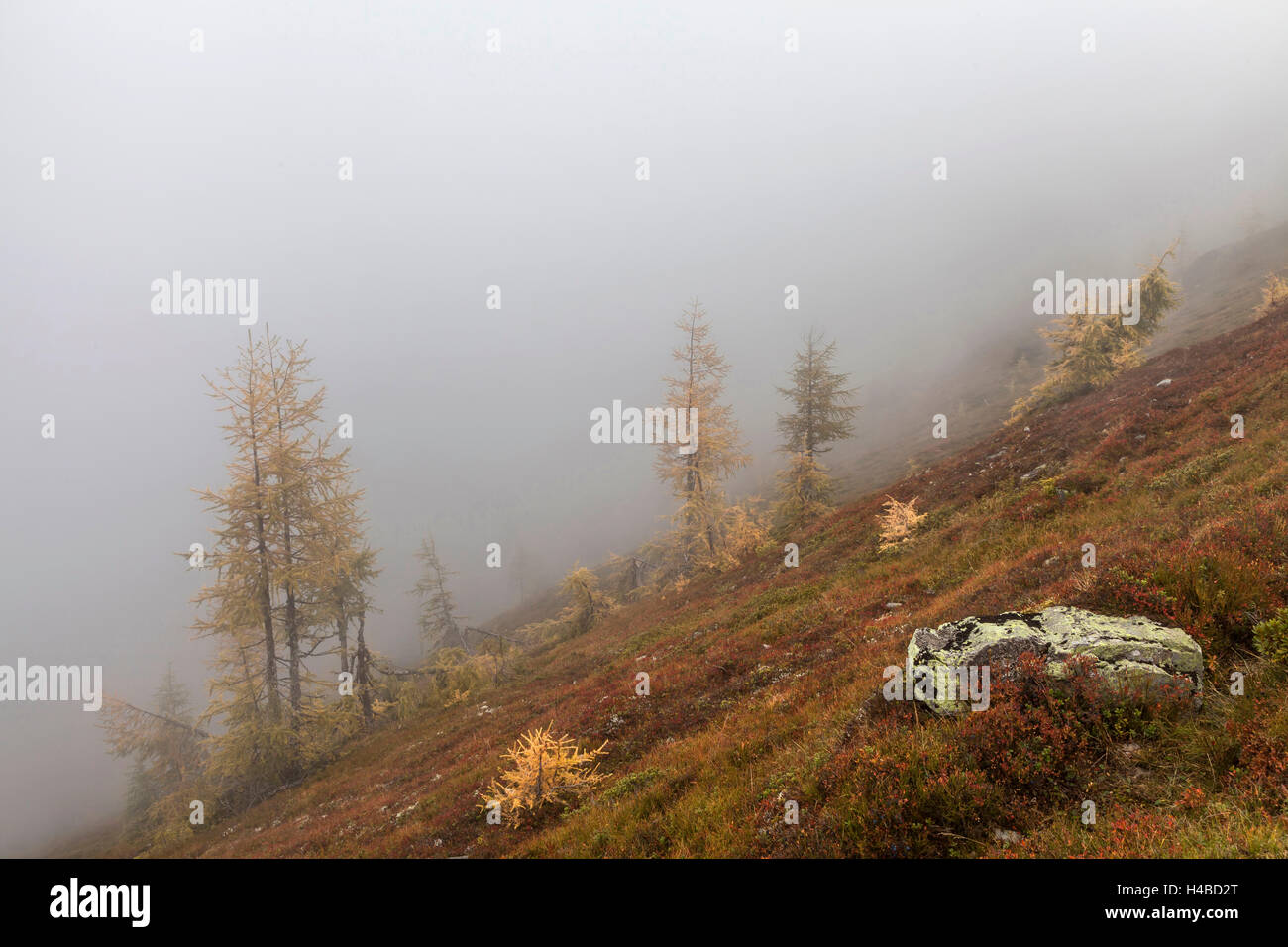 View of the Goldeck, mountaintop in Austria Stock Photo - Alamy