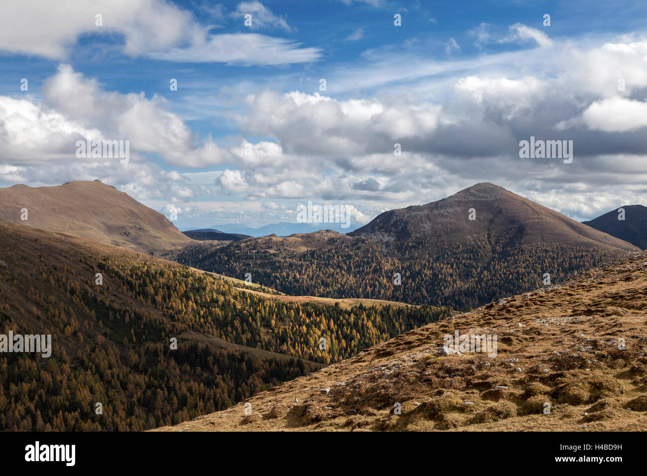 Grosser nock hi-res stock photography and images - Alamy