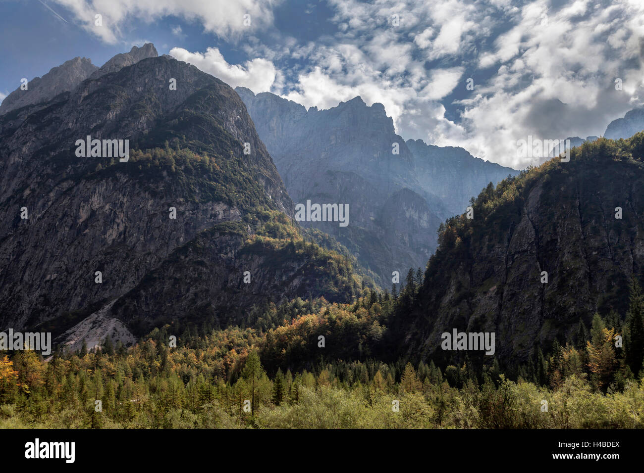 Valley in the Julian Alps Stock Photo - Alamy