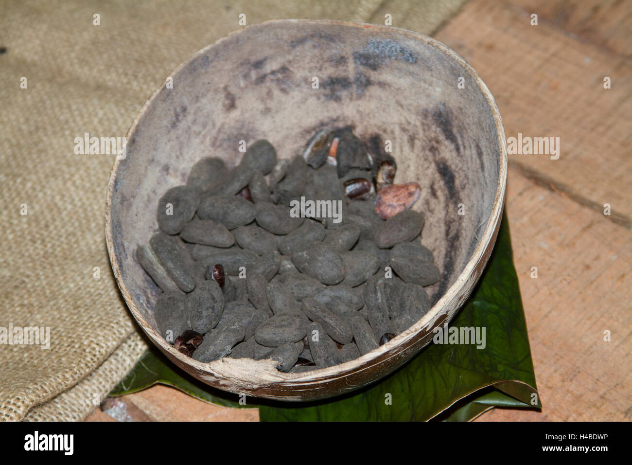 roasted cocoa beans Stock Photo - Alamy