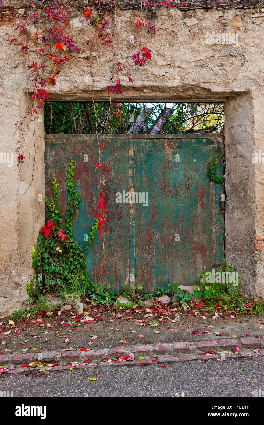 Overgrown red gate hi-res stock photography and images - Alamy