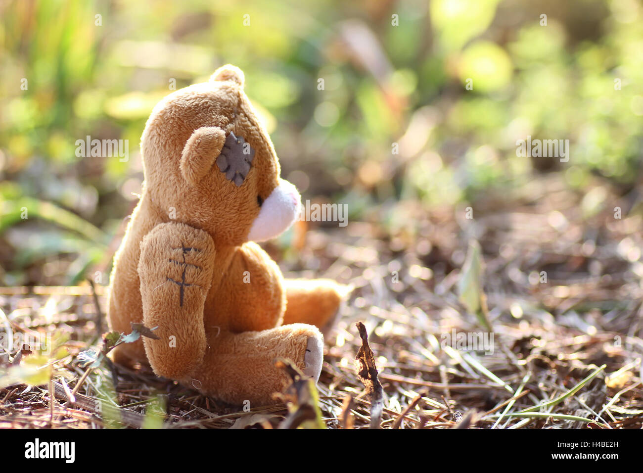 alone toy on the ground Stock Photo - Alamy