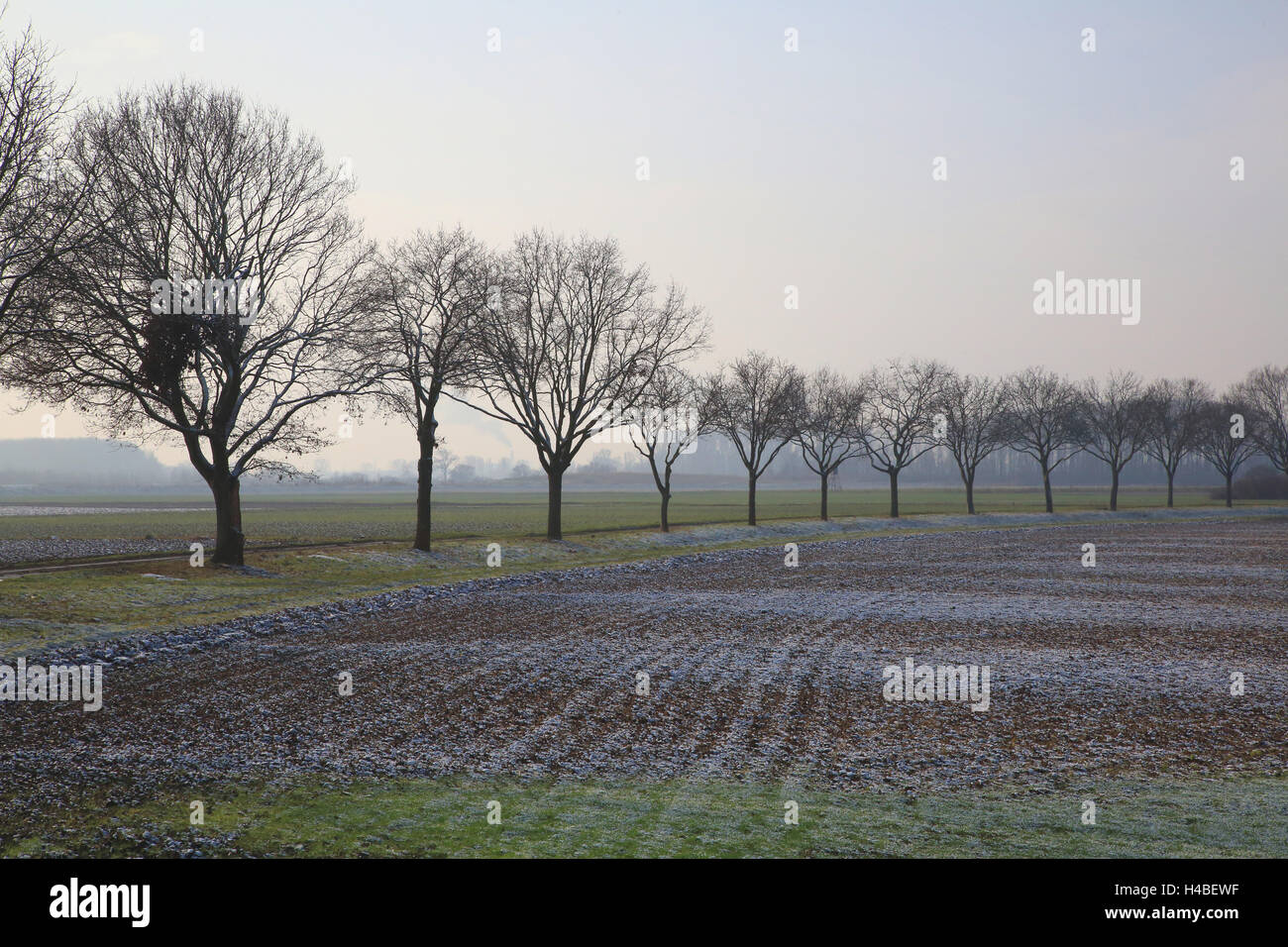 Grove avenue hi-res stock photography and images - Alamy