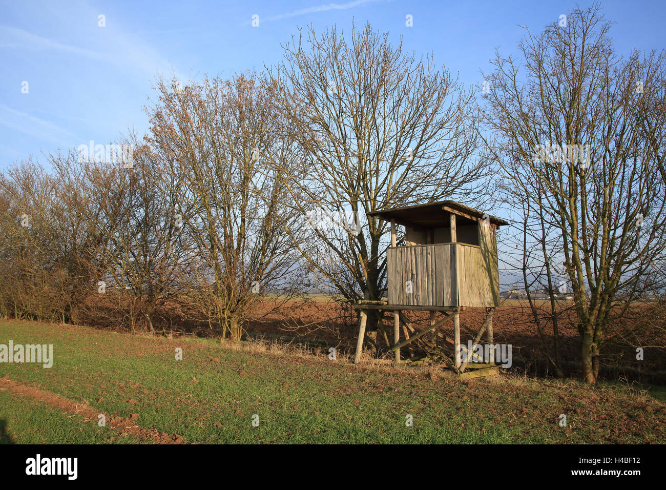 Raised hide in winter Stock Photo - Alamy