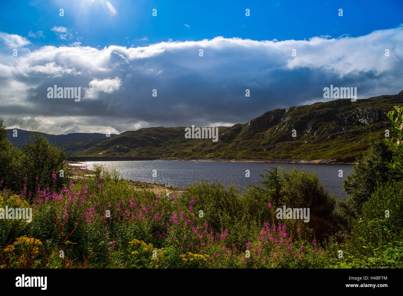 Loch in scotland hi-res stock photography and images - Alamy