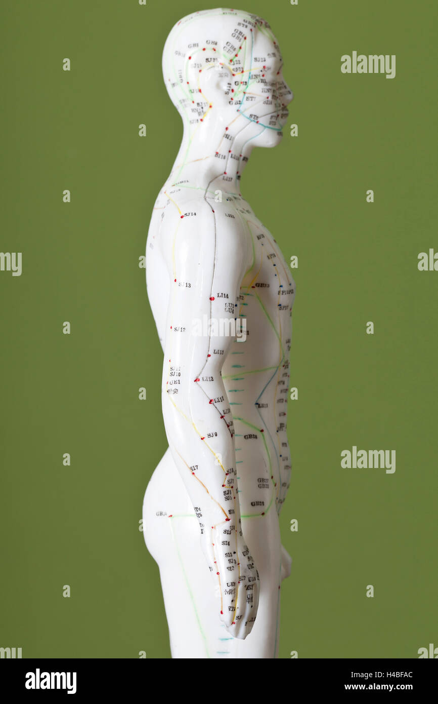 Acupuncture, model, figure, TCM Stock Photo - Alamy