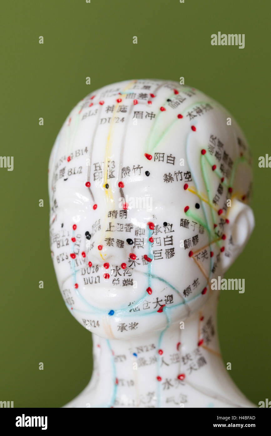 Acupuncture, model, figure, TCM Stock Photo - Alamy