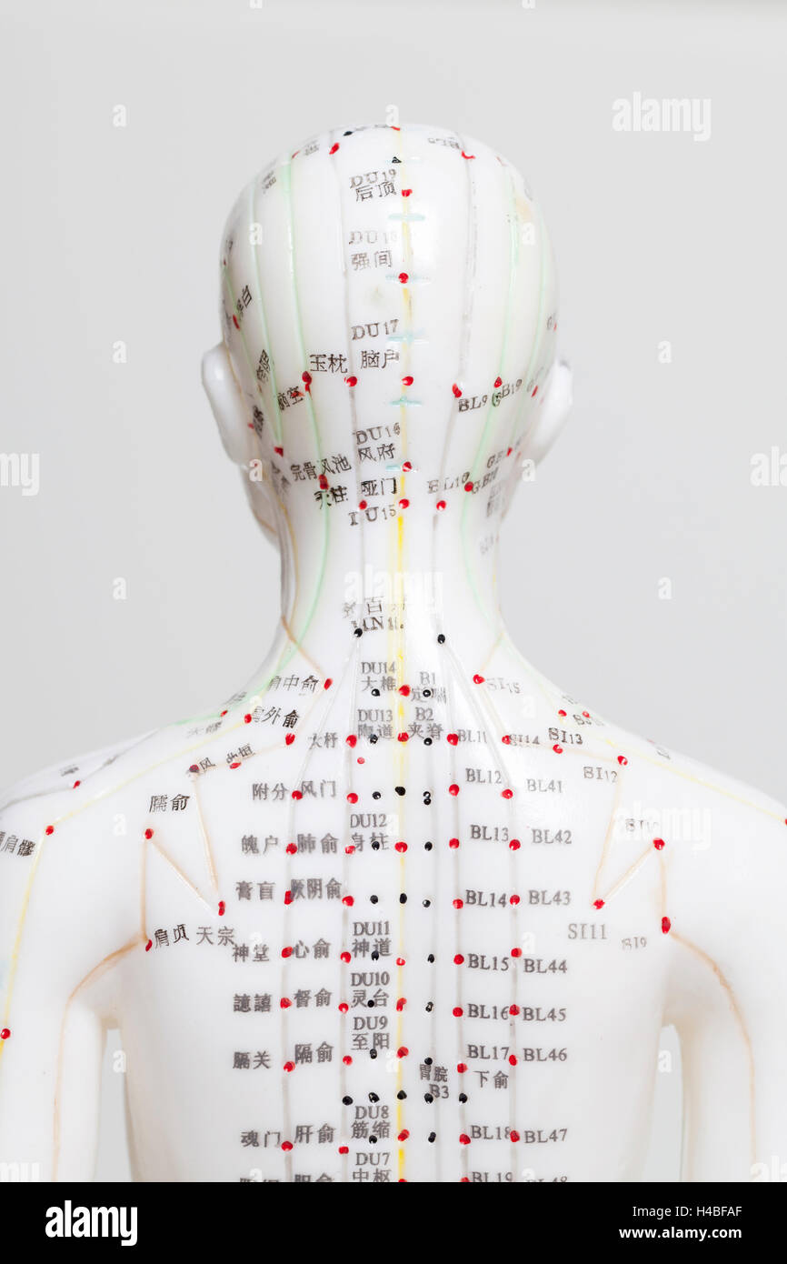 Acupuncture, model, figure, TCM Stock Photo - Alamy