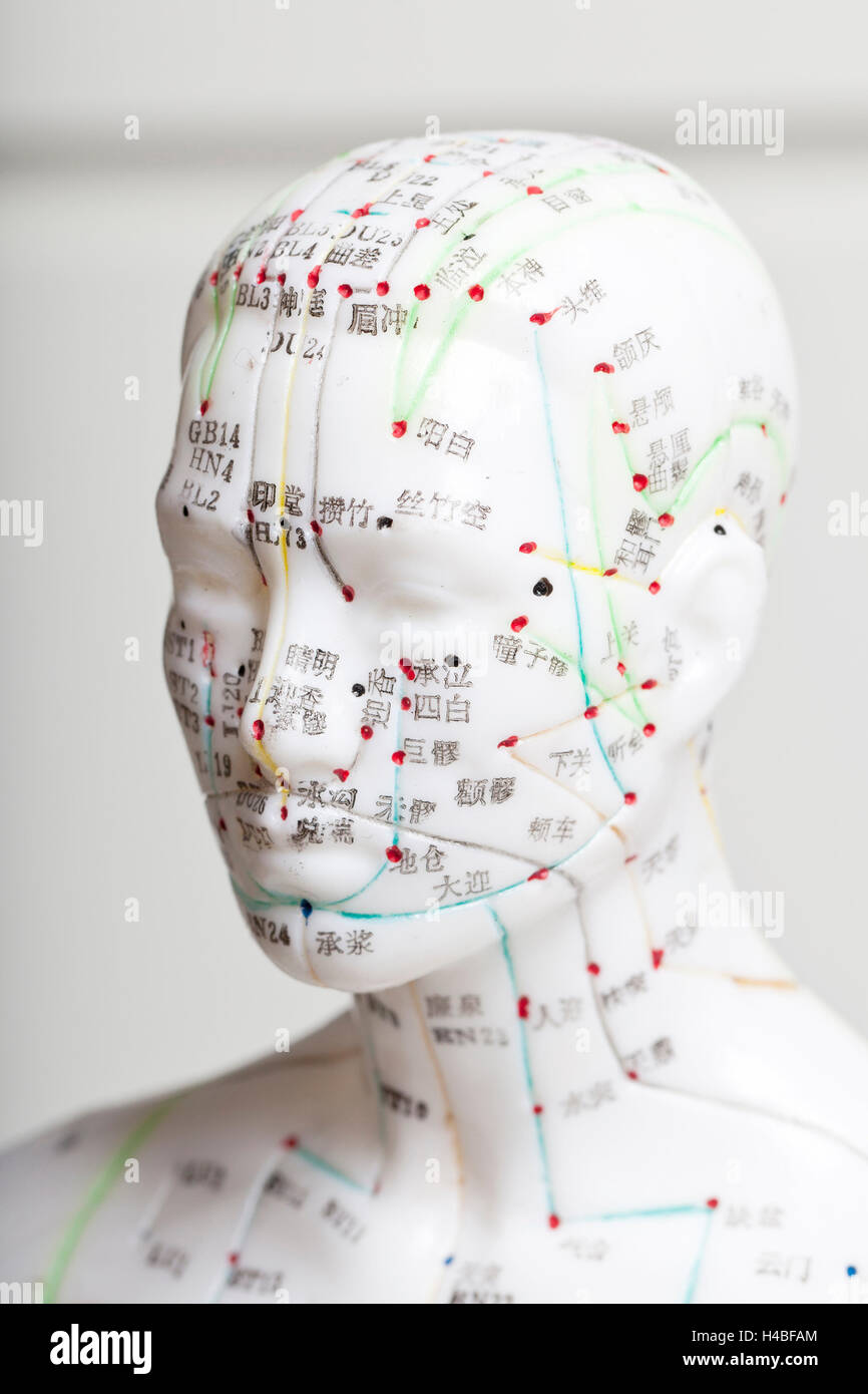 Acupuncture, model, figure, TCM Stock Photo - Alamy