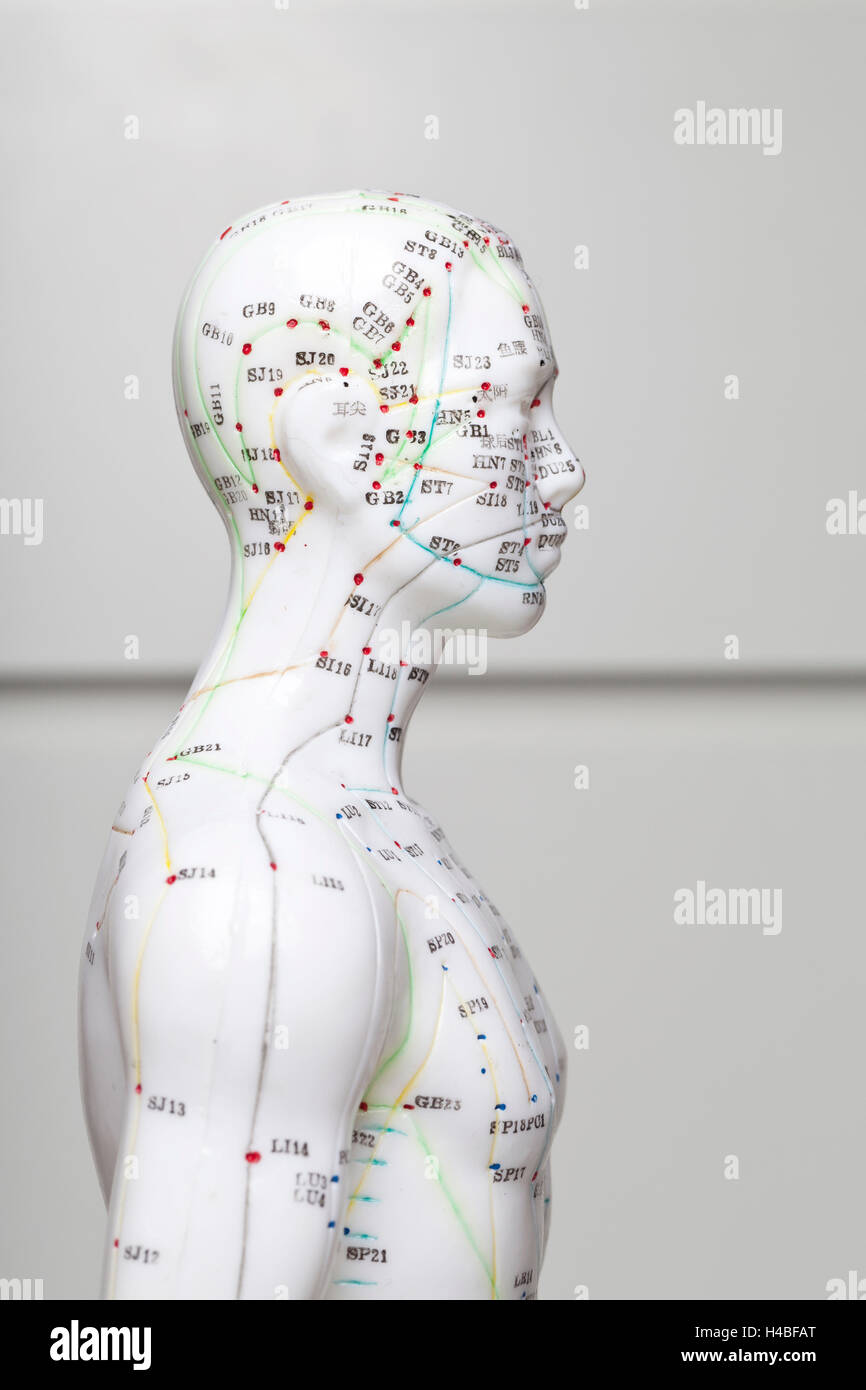 Acupuncture, model, figure, TCM Stock Photo - Alamy