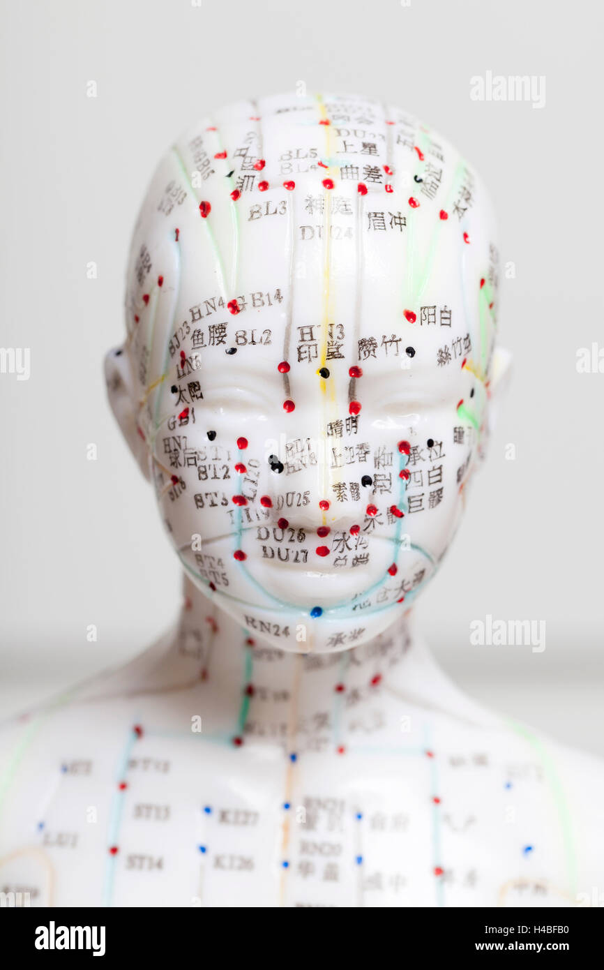 Acupuncture, model, figure, TCM Stock Photo - Alamy