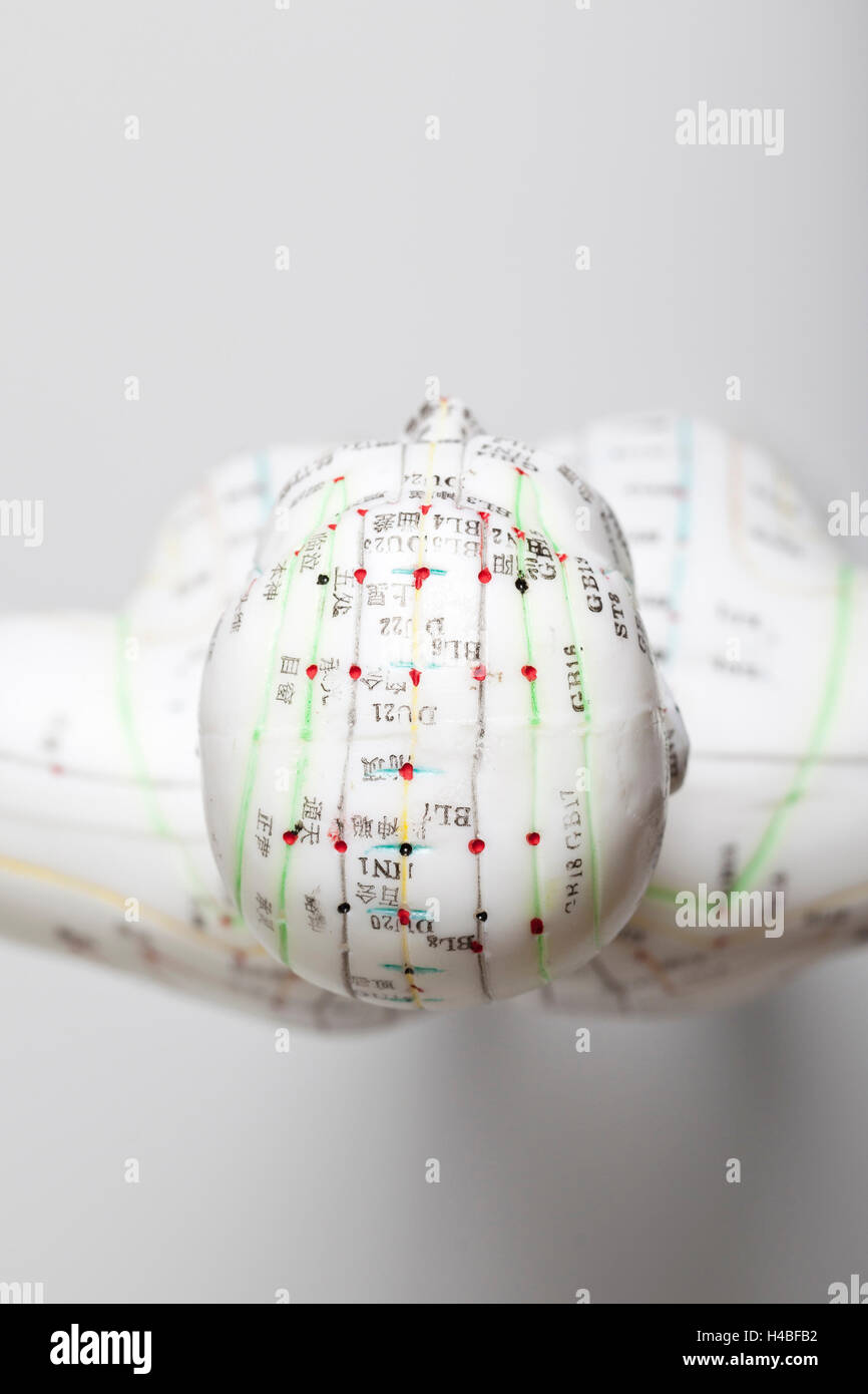 Acupuncture, model, figure, TCM Stock Photo - Alamy
