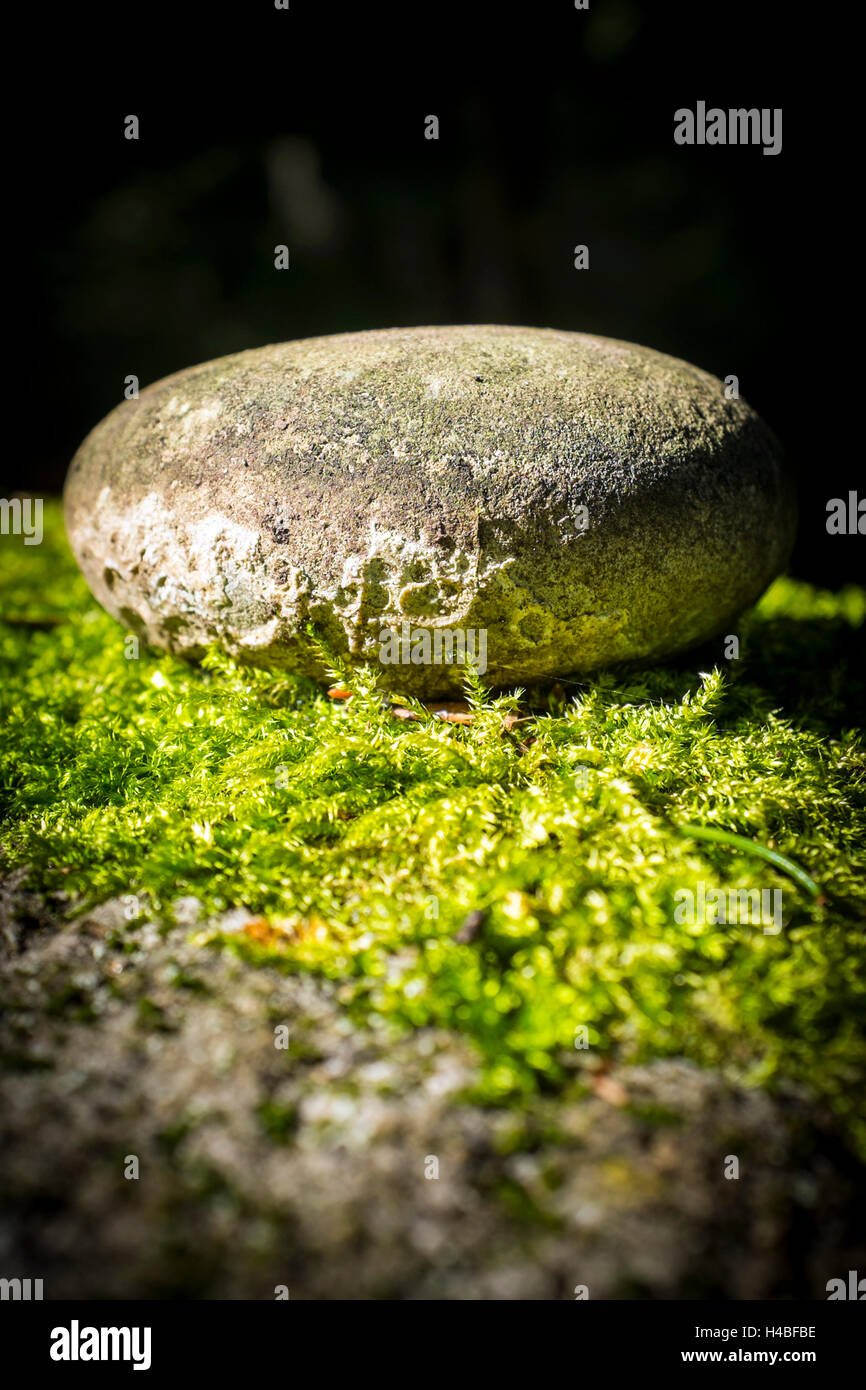Stone, forest, symbol, nature, moss Stock Photo - Alamy