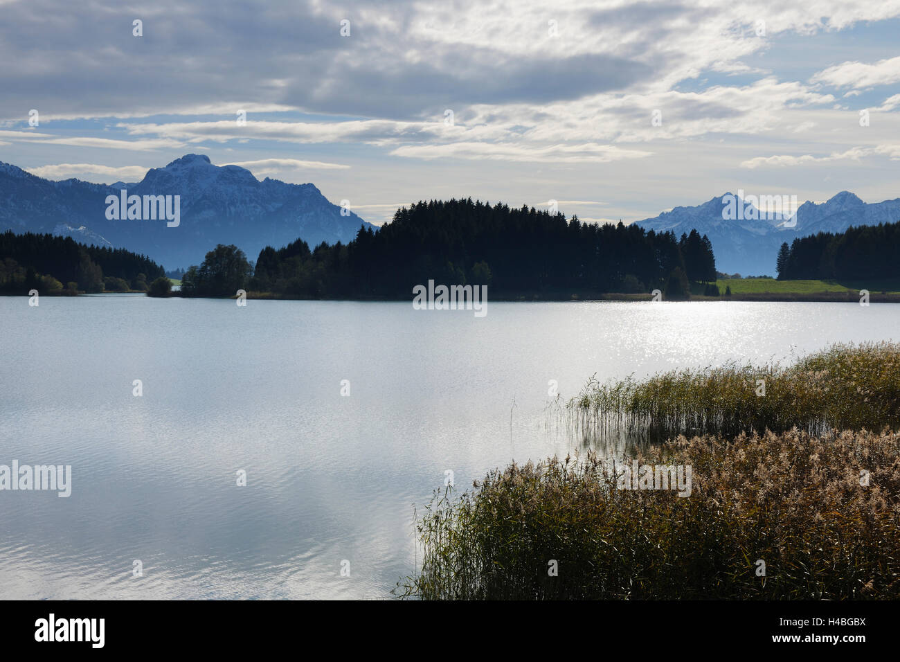 Lake with Mountain Range, Illasbergsee, Halblech, Bavaria, Germany ...
