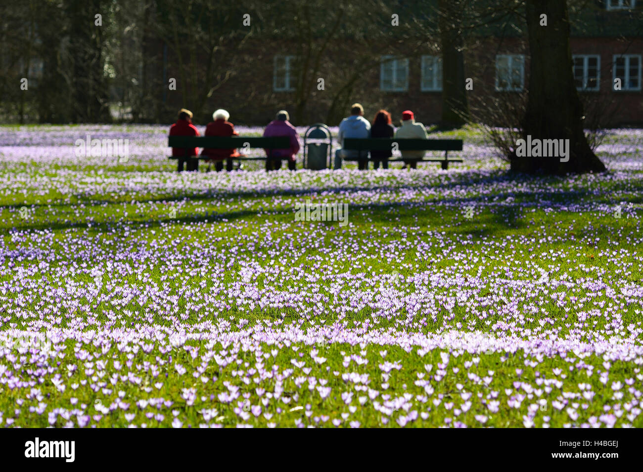 People park bench spring hi-res stock photography and images - Alamy