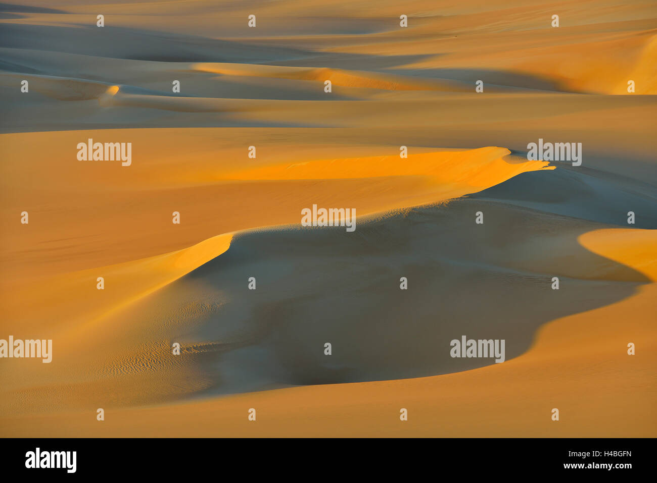 Sand Dunes, Matruh, Great Sand Sea, Libyan Desert, Sahara Desert, Egypt ...