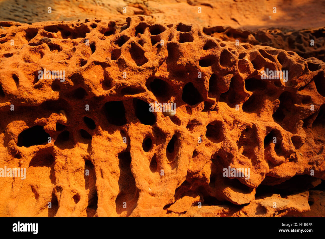 Sandstone Rock, Hochstein, Dahn, Dahner Felsenland, Pfaelzerwald ...