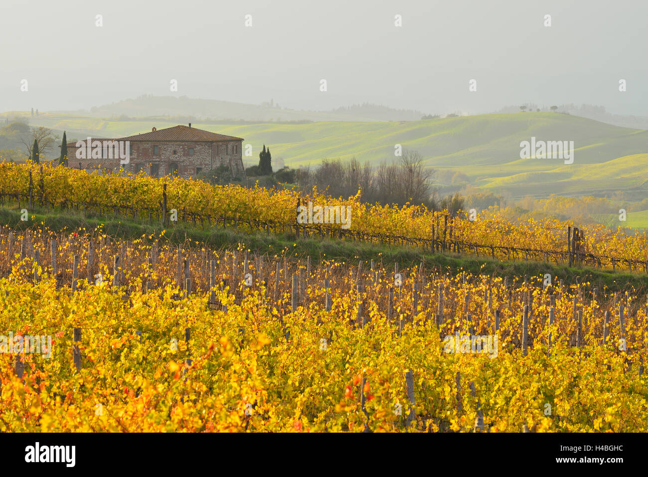 Tuscany countryside hi-res stock photography and images - Alamy