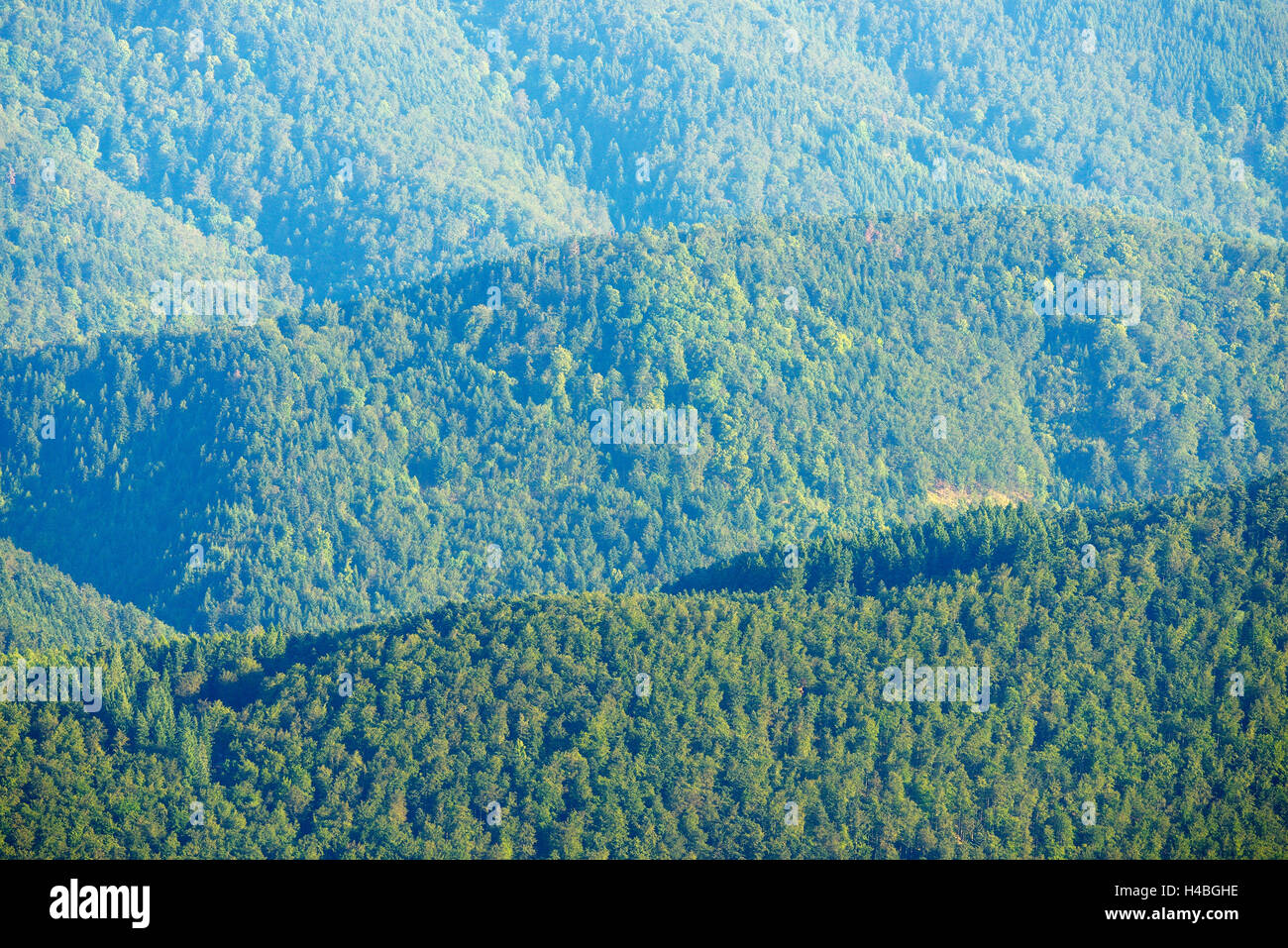 View from Grand Ballon of Forest, Haut Rhin, Vosges, Alsace, France ...
