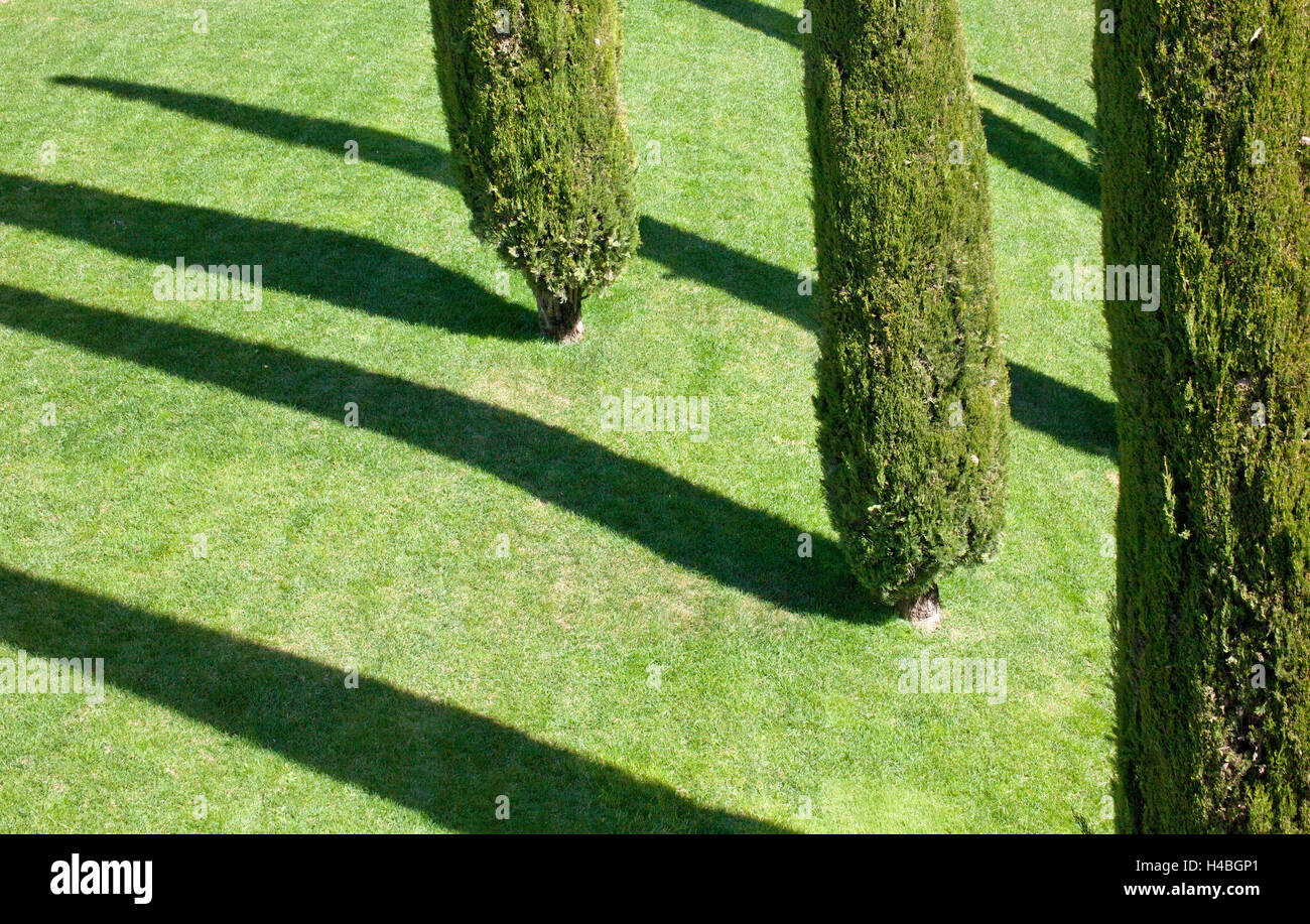 Throw a shadow hi-res stock photography and images - Alamy