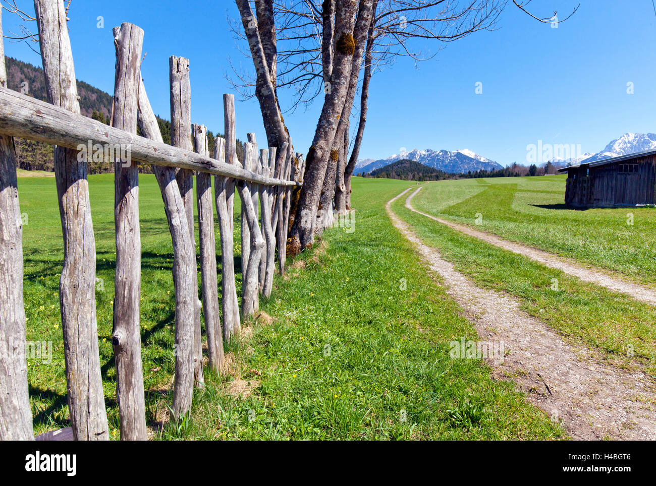 Wooden fence between trees at a meadow path Stock Photo - Alamy