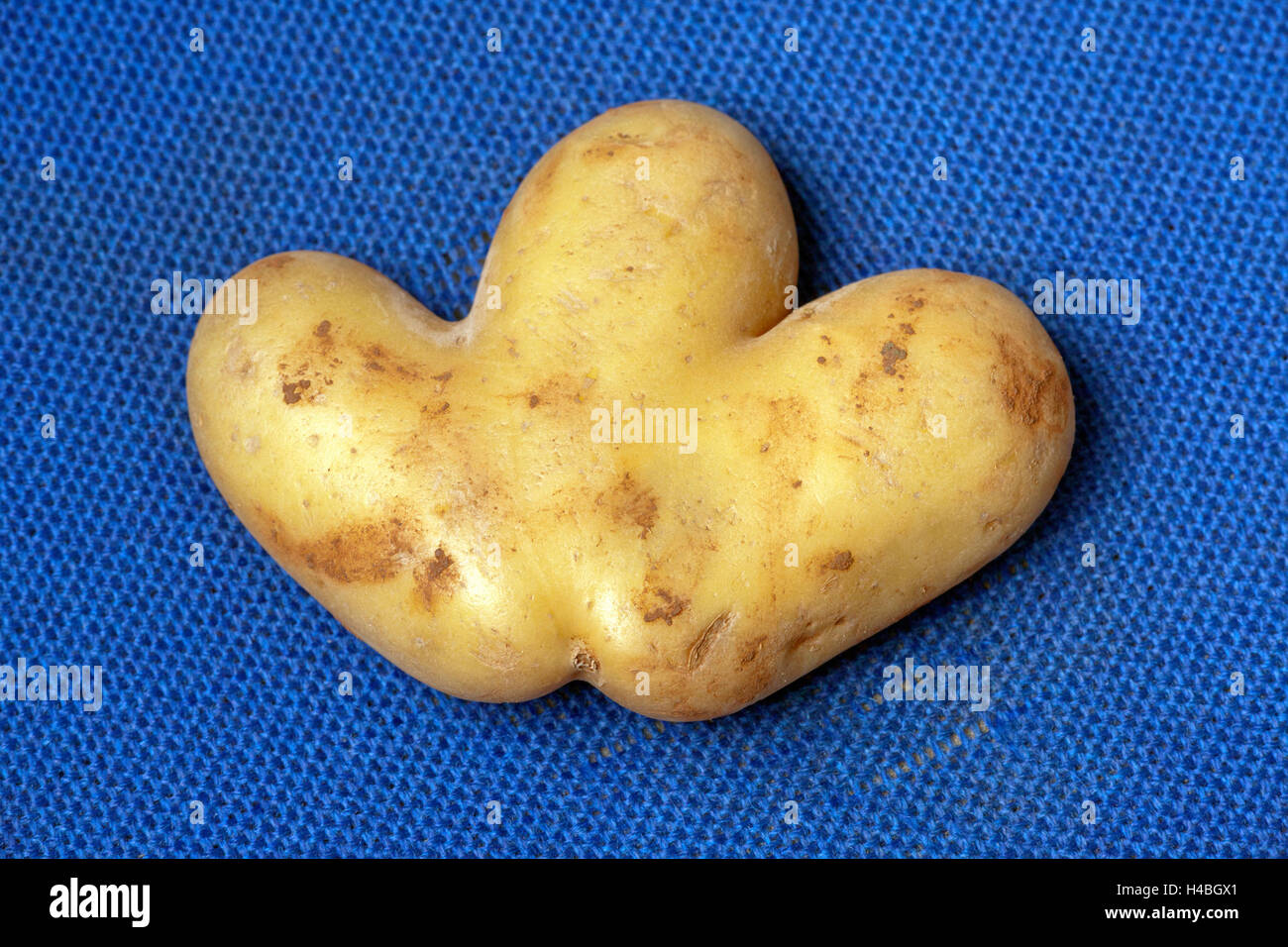 Three part hi-res stock photography and images - Alamy