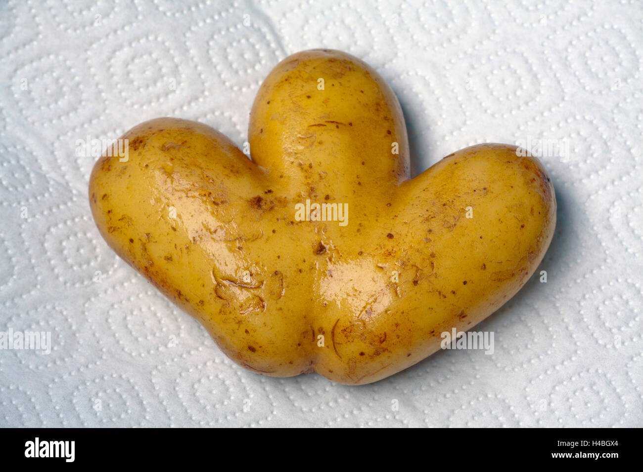 Potato form hi-res stock photography and images - Alamy