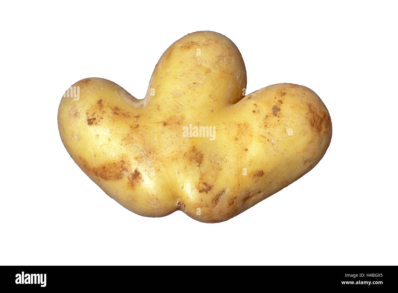 Form part of Cut Out Stock Images & Pictures - Alamy