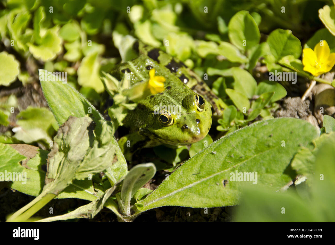 Turning country hi-res stock photography and images - Alamy